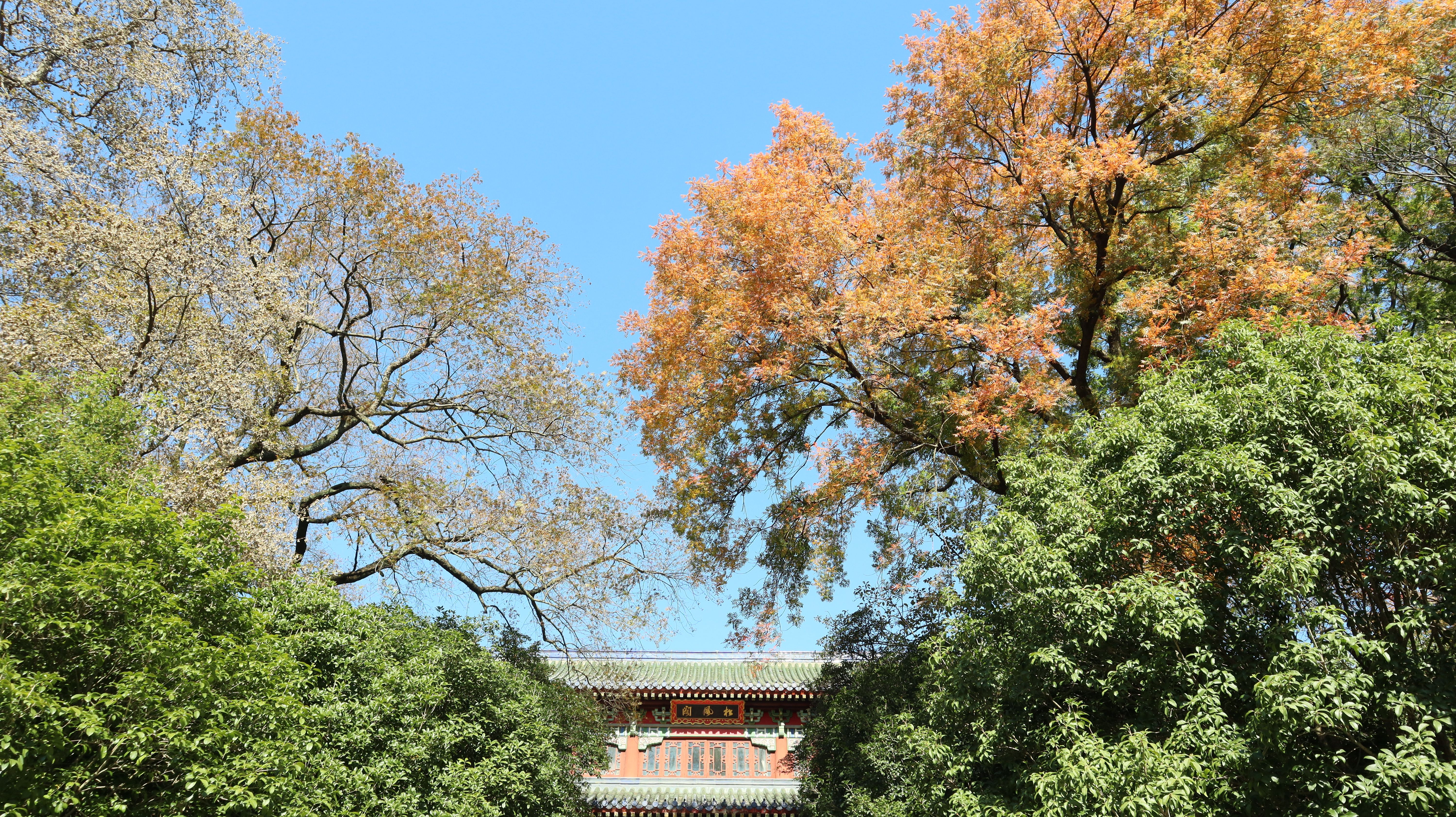 Autumn Leaves Frame Traditional Asian Architecture · Free Stock Photo