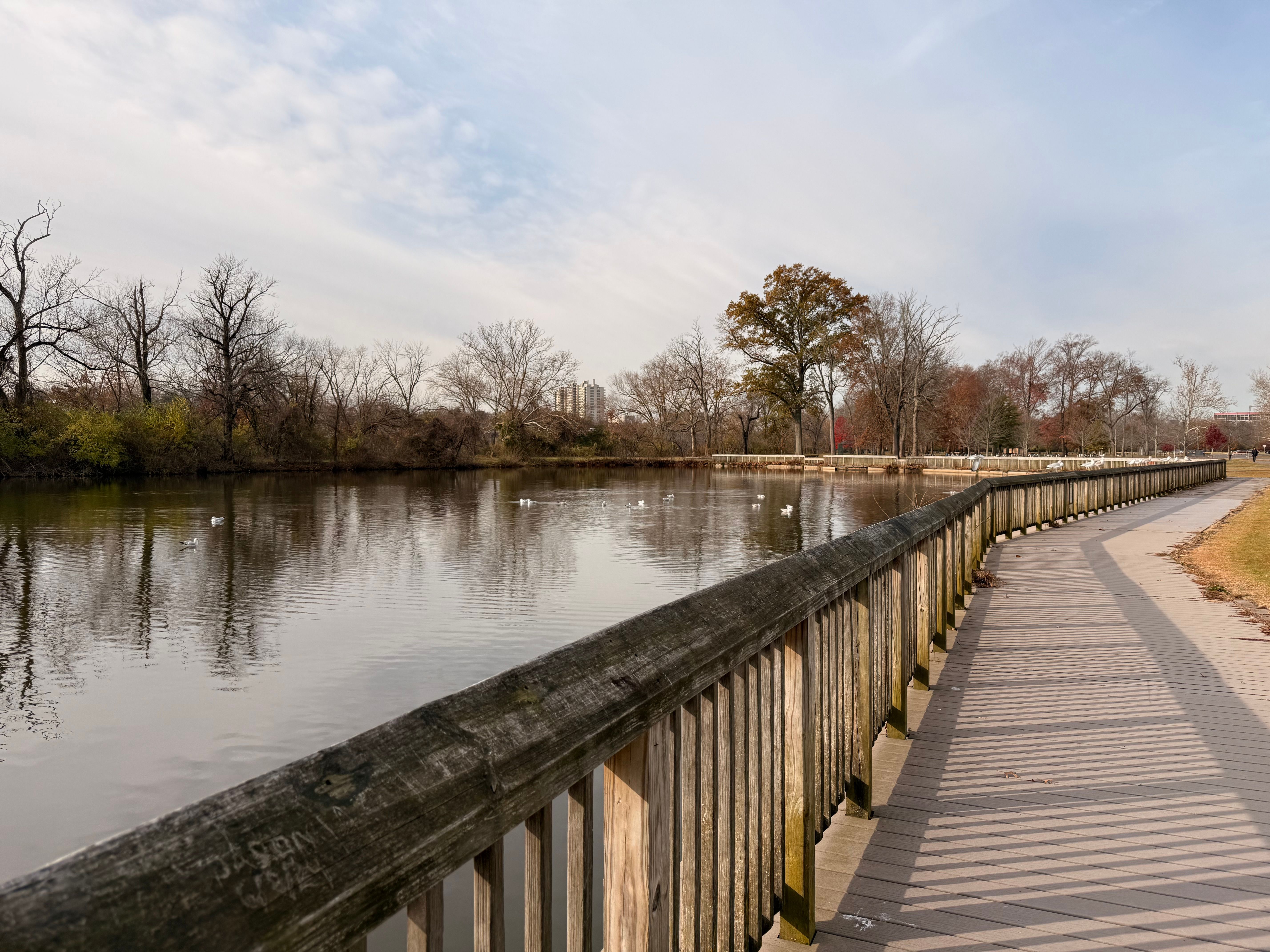 Serene Lakeside Boardwalk During Fall · Free Stock Photo