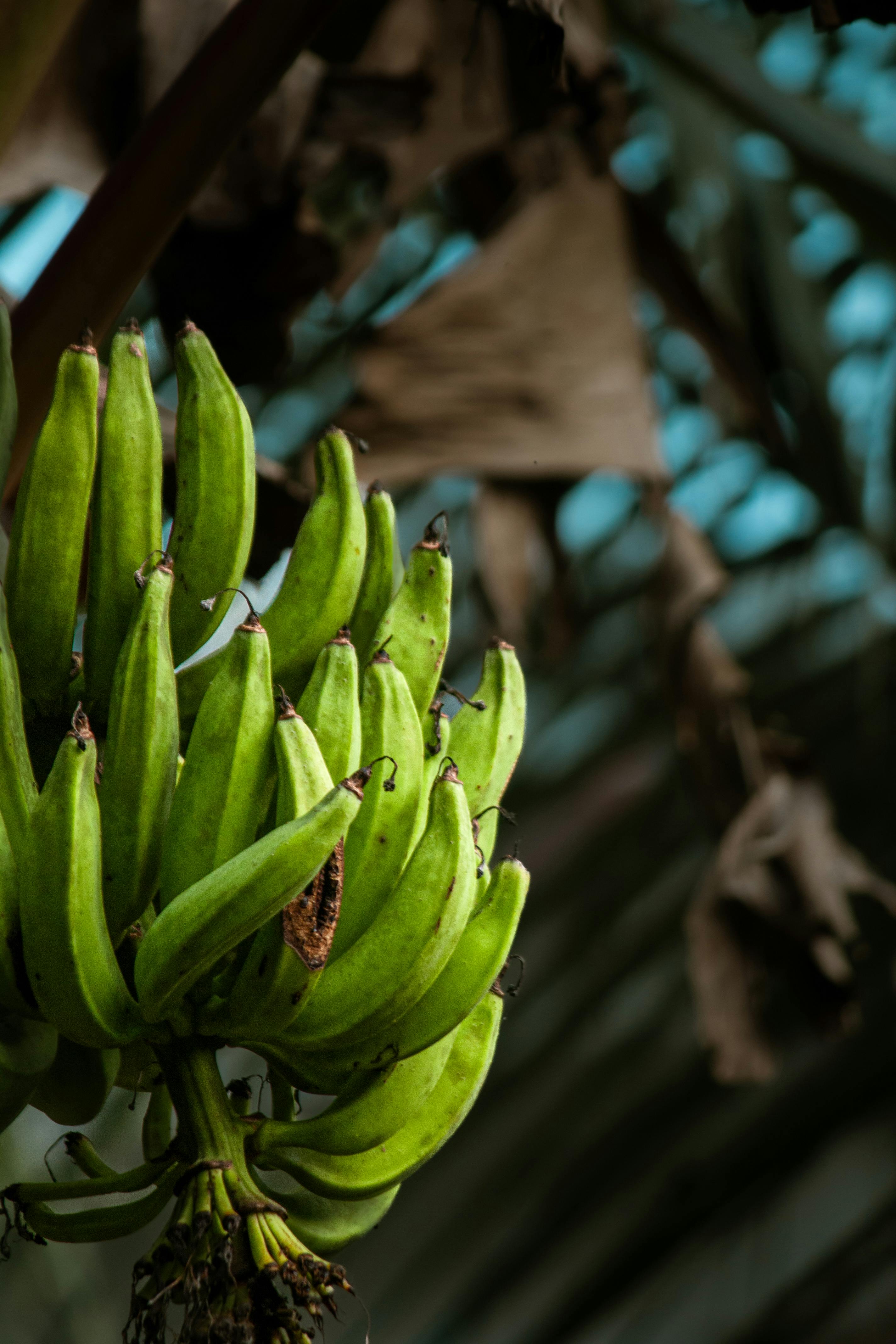 Color Picturesof Photos, Download The BEST Free Color Picturesof Stock ...