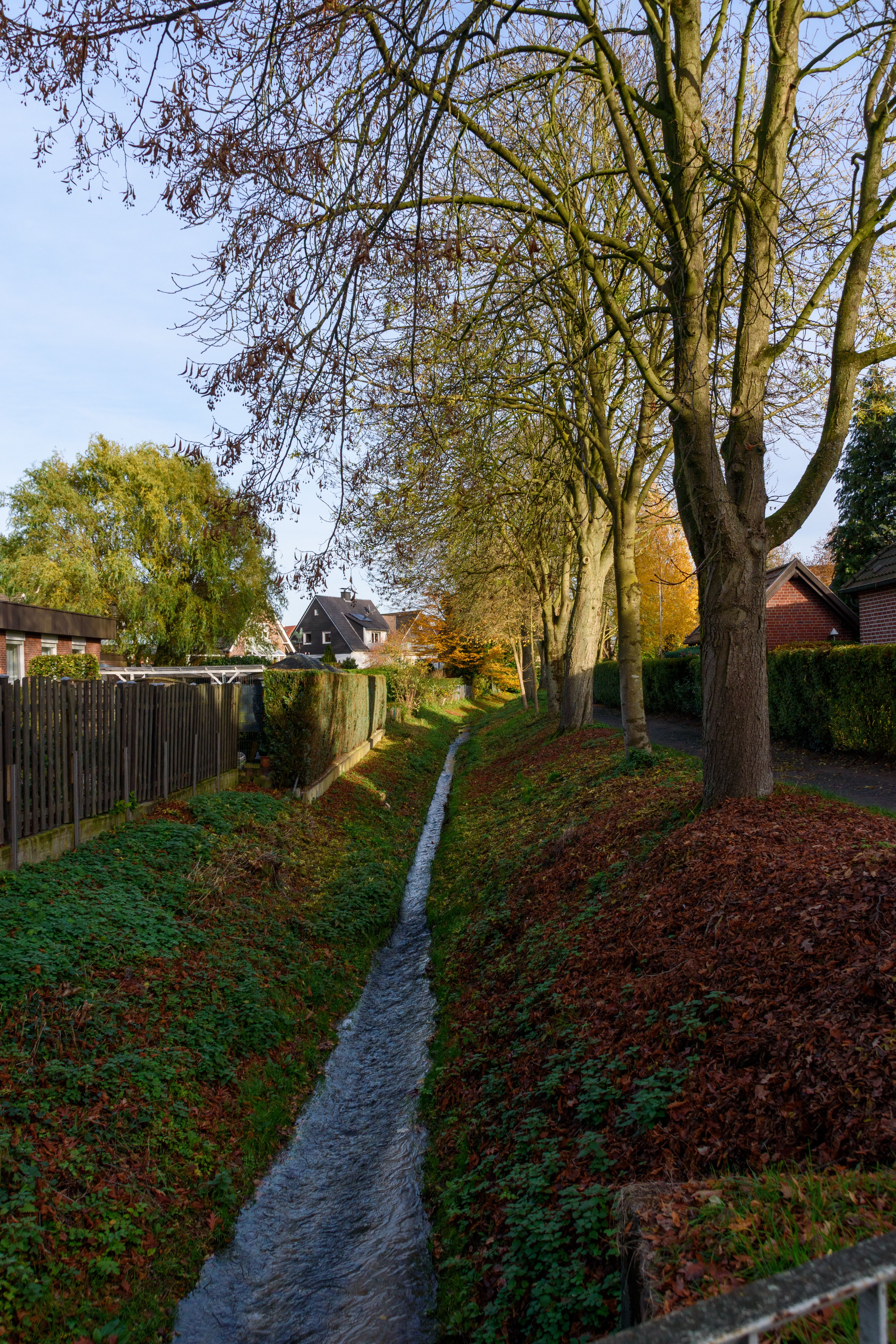Peaceful Suburban Stream in Autumn Landscape · Free Stock Photo