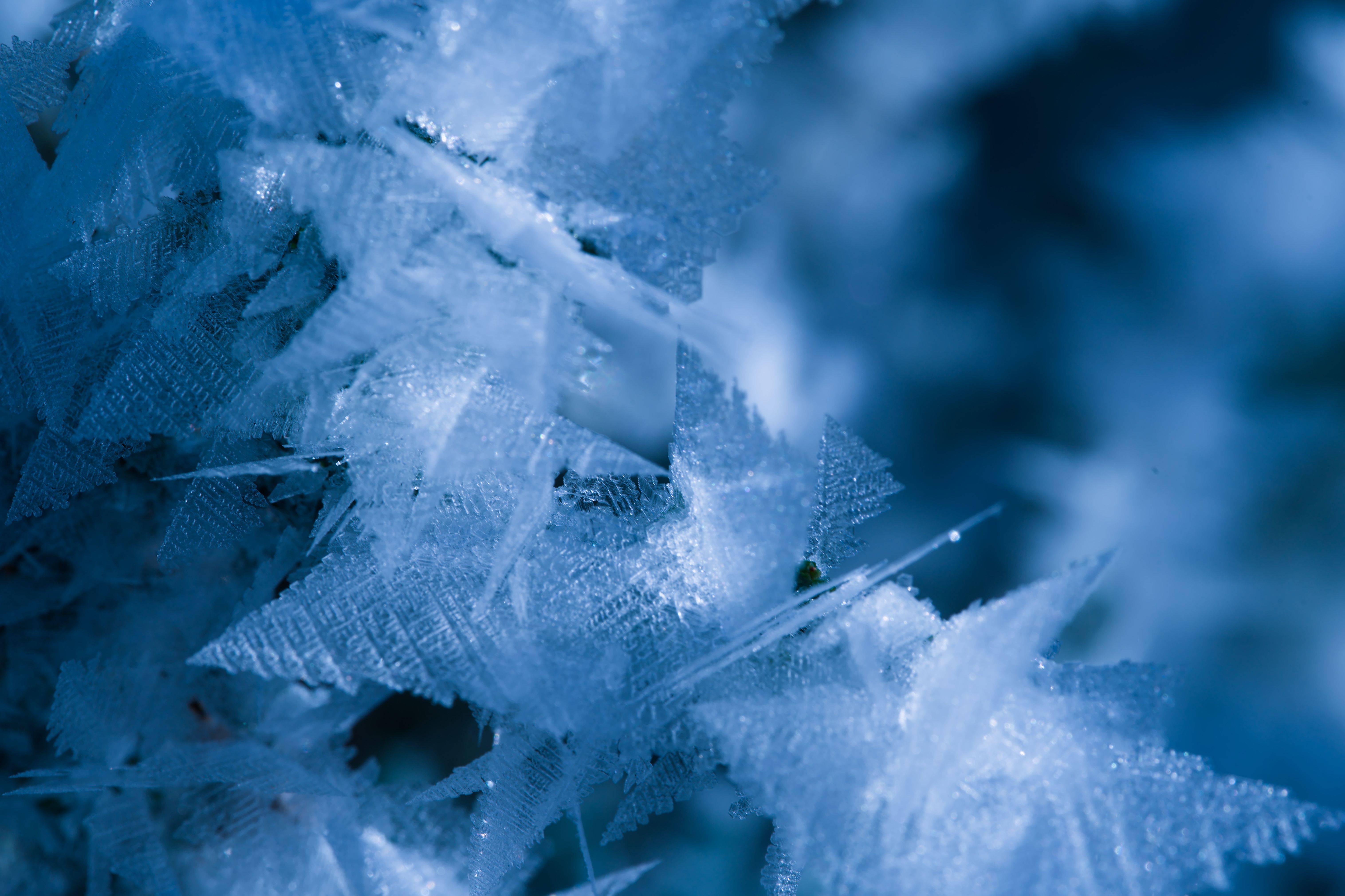 Close-Up of Intricate Blue Ice Crystals · Free Stock Photo