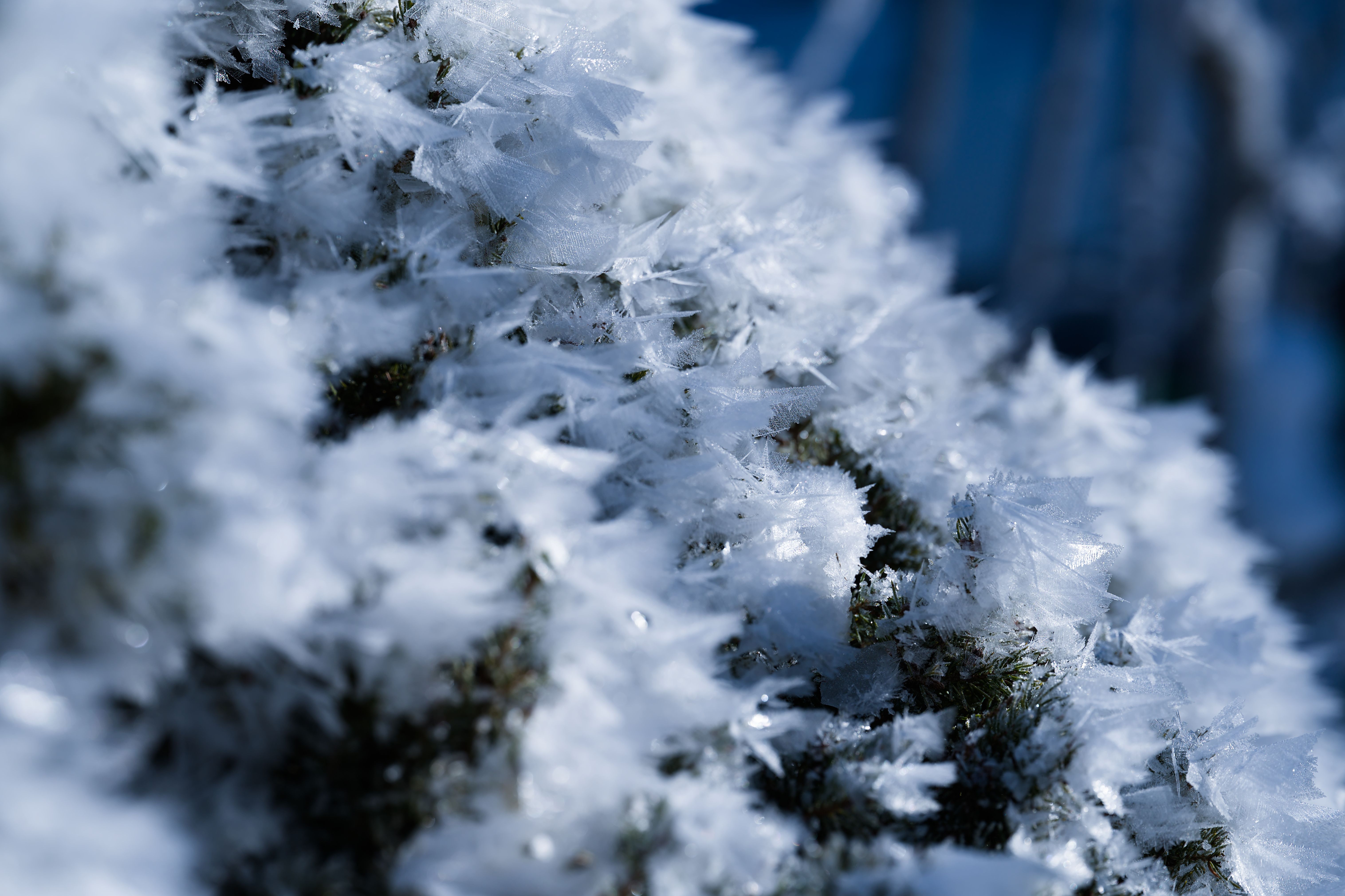 Close-up of Frost Crystals on Mossy Surface · Free Stock Photo