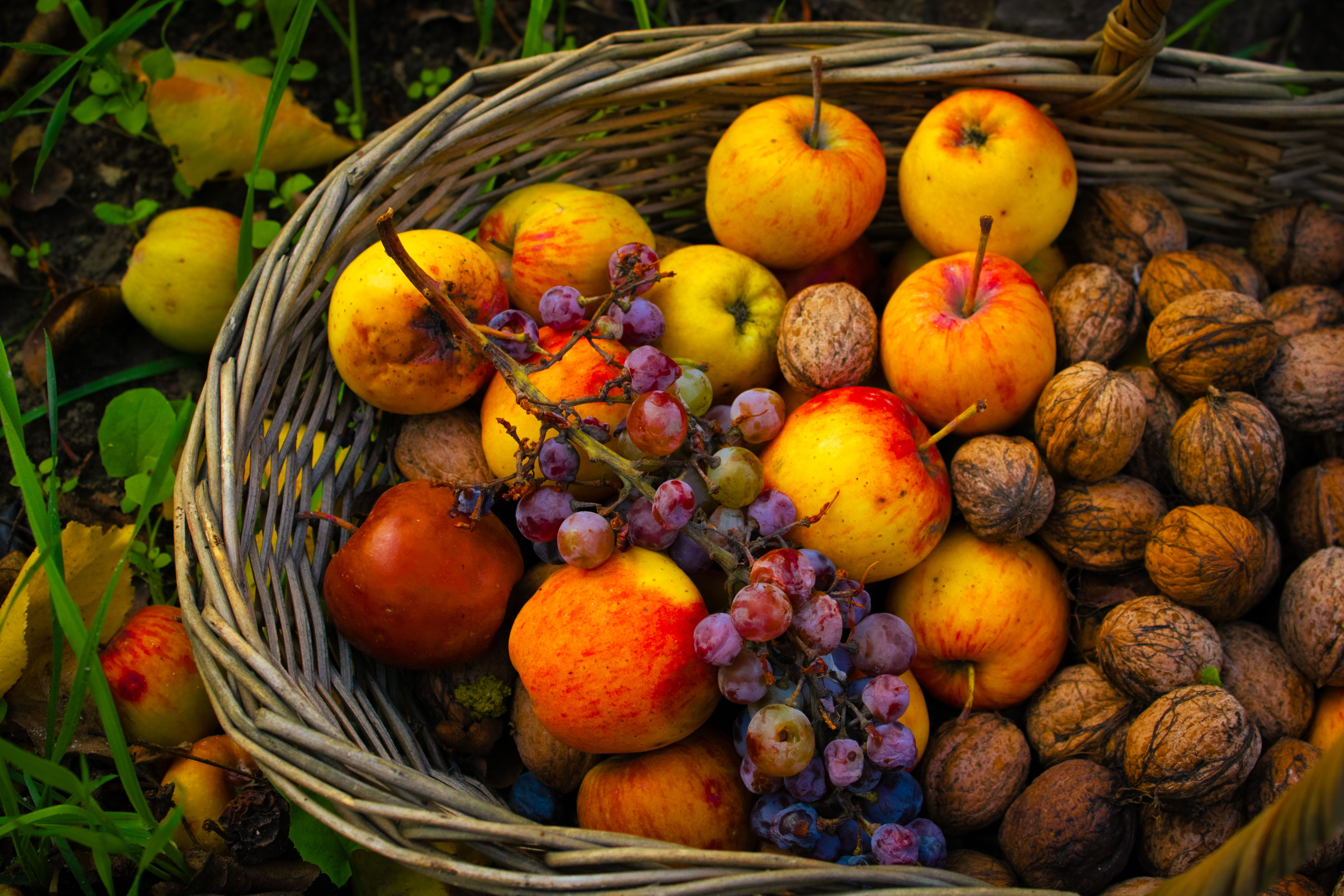 Autumn Harvest Basket with Apples and Walnuts · Free Stock Photo