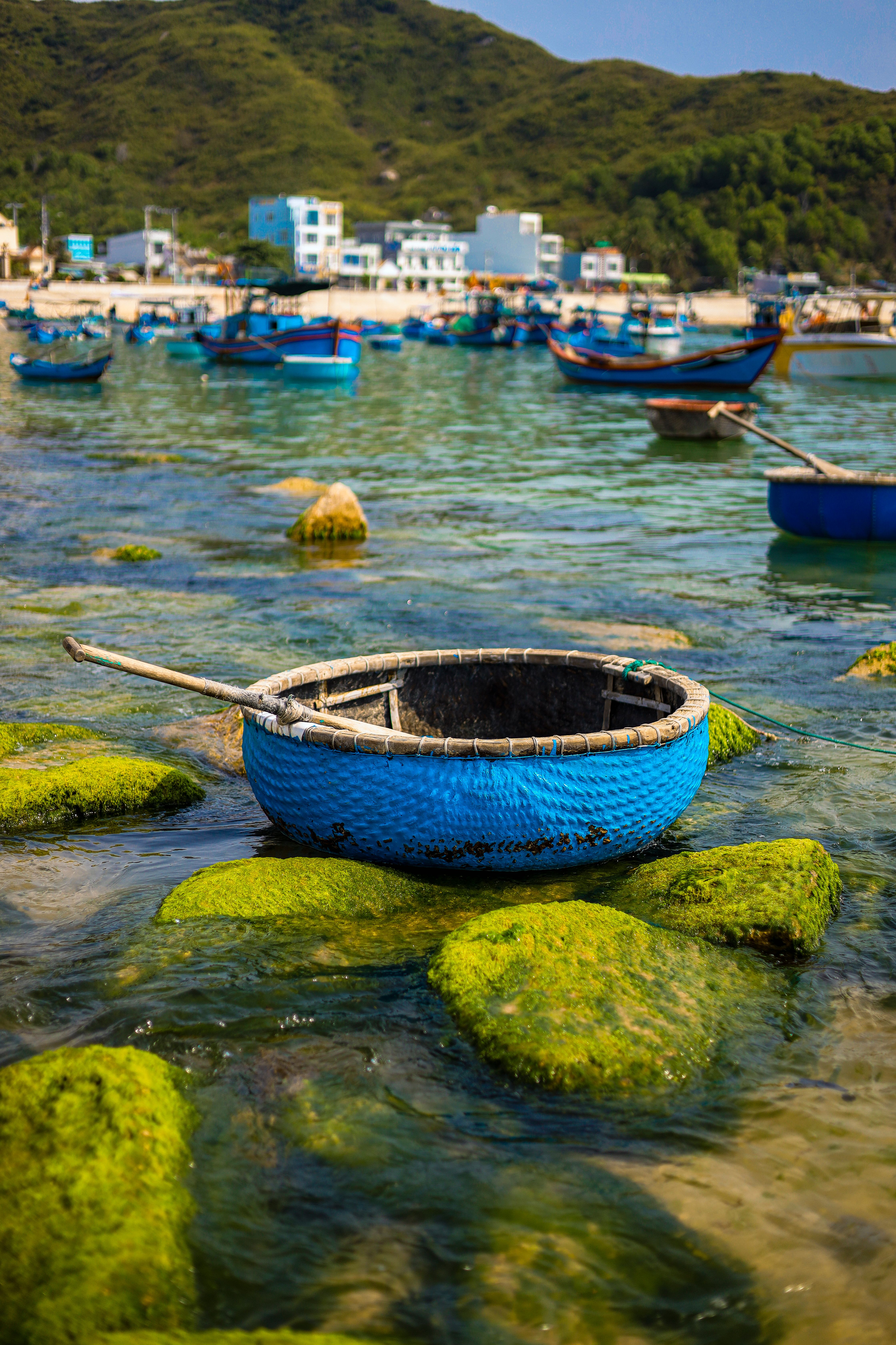 Traditional Basket Boats on a Scenic Shoreline · Free Stock Photo
