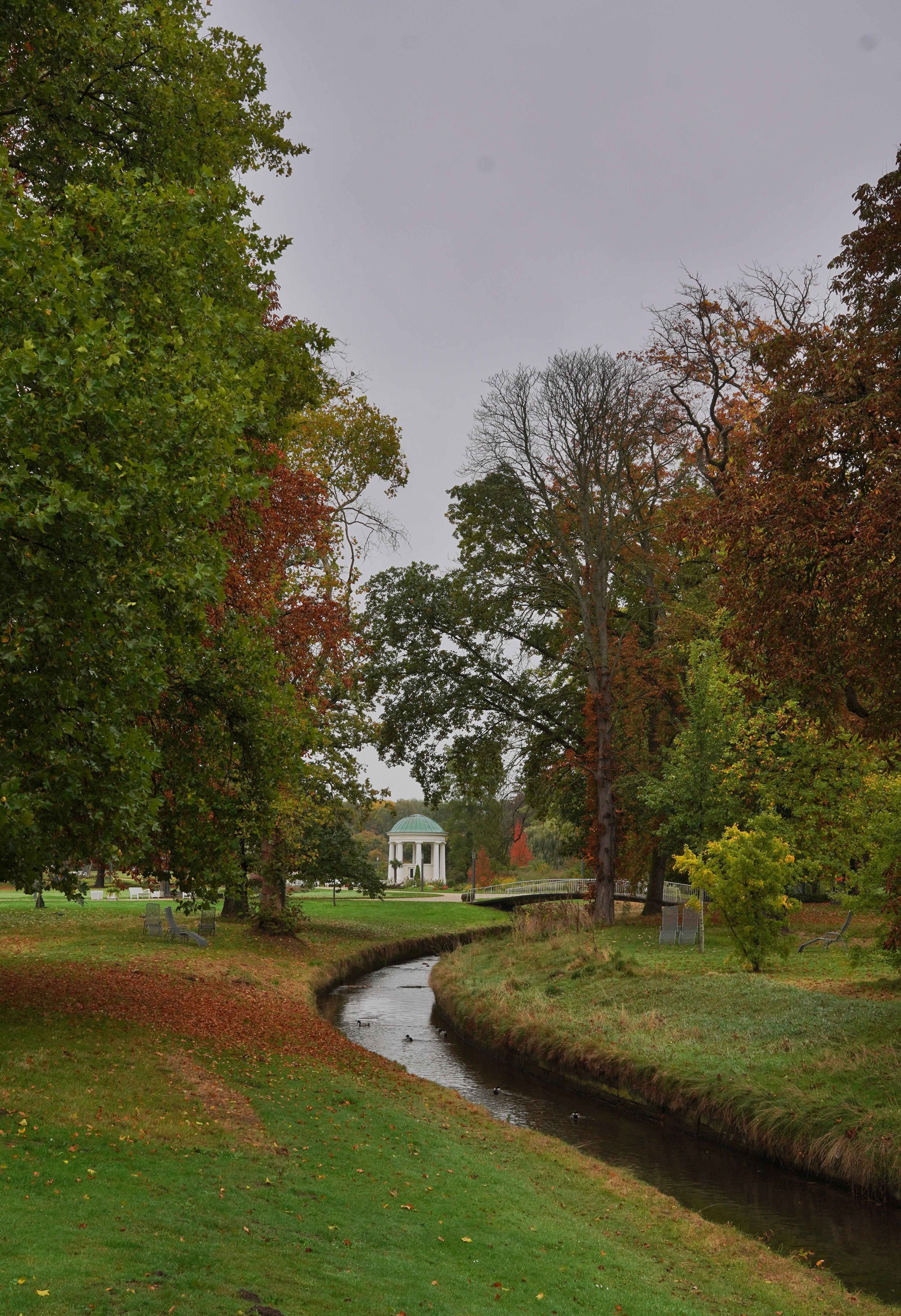 Scenic Autumn View in Bad Salzuflen Park · Free Stock Photo