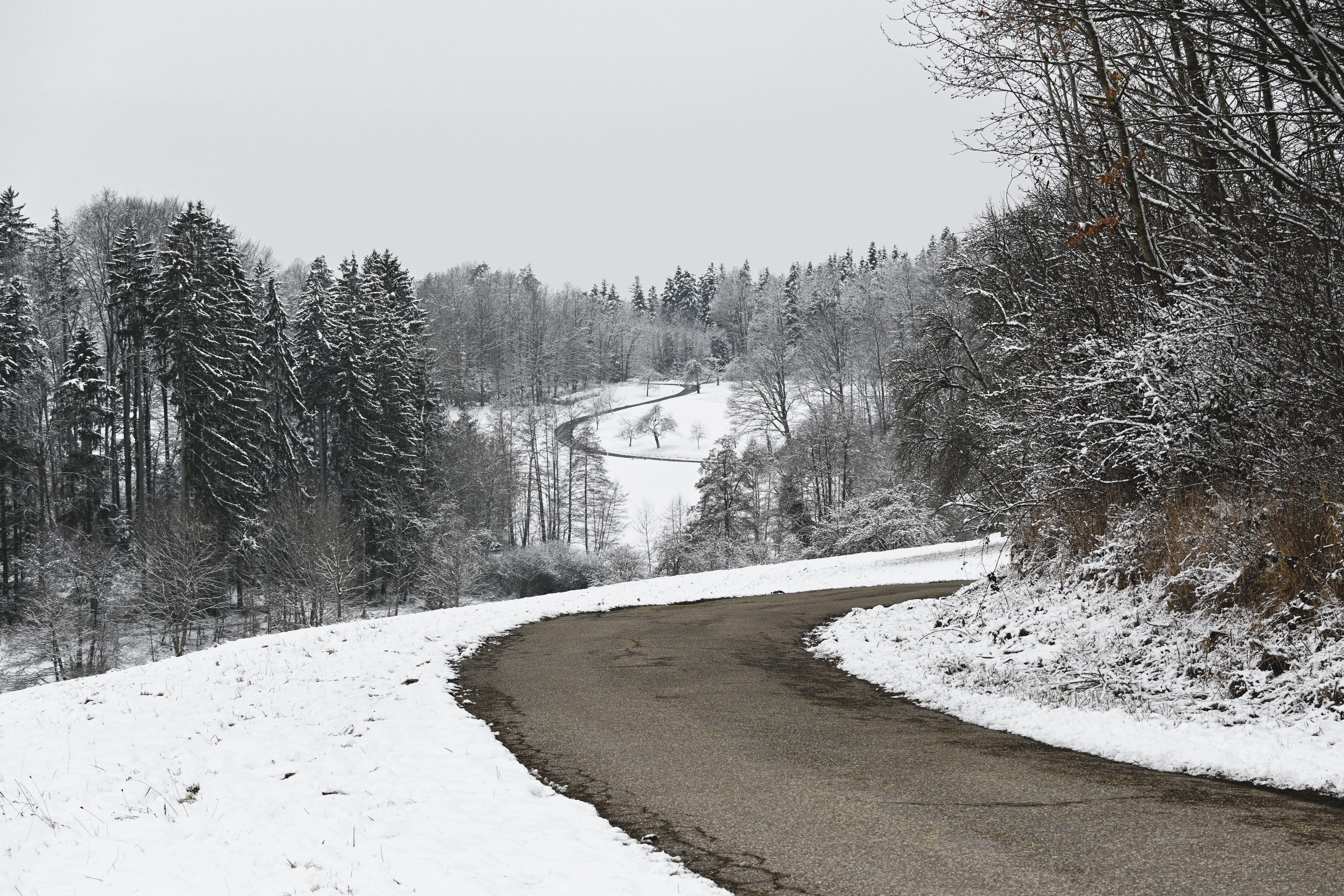 Winter Road Curves Through Snowy Forest in Germany · Free Stock Photo