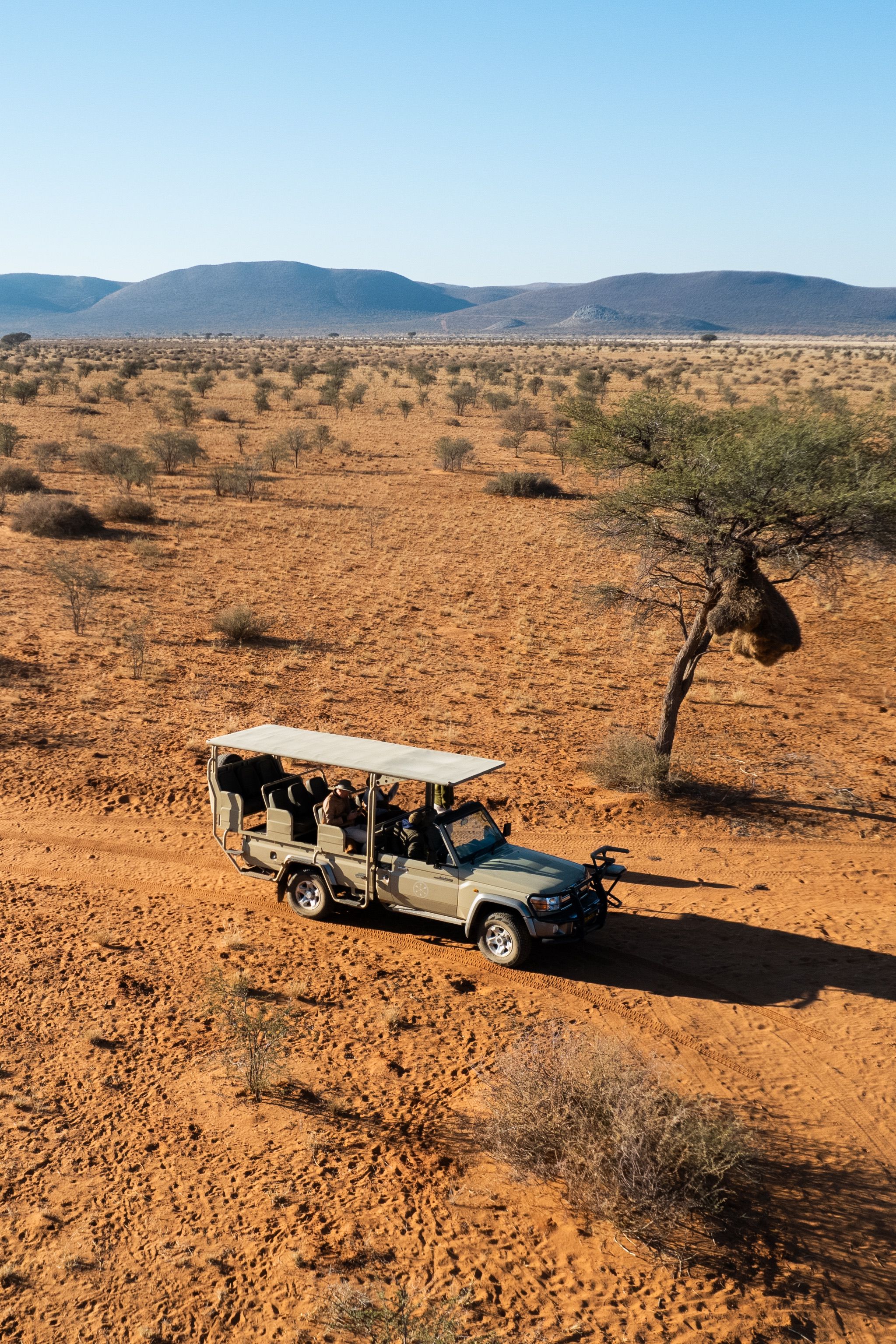 Safari Jeep Exploring Namibia's Vast Landscape · Foto profissional gratuita