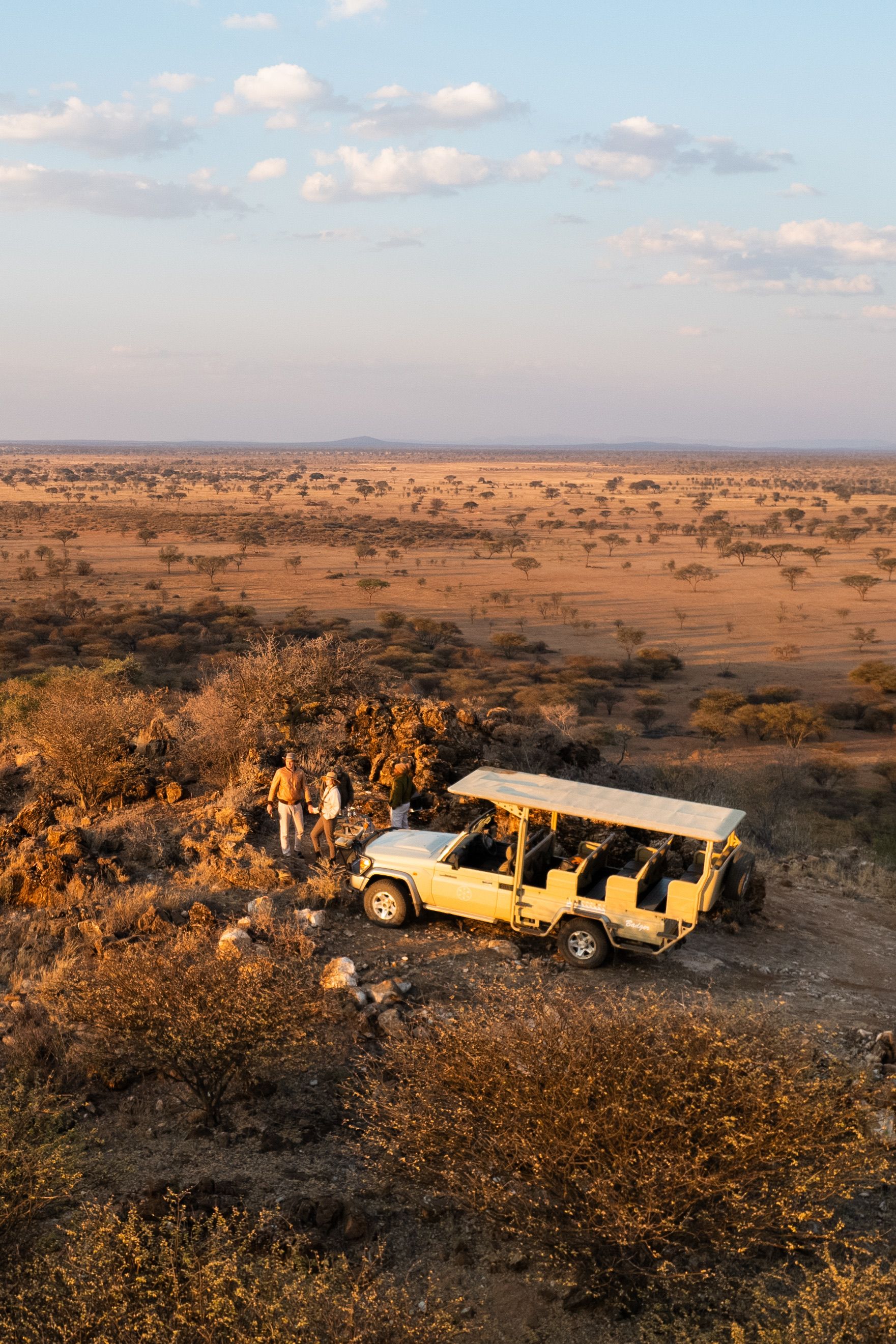 Safari Adventure in African Landscape · Free Stock Photo