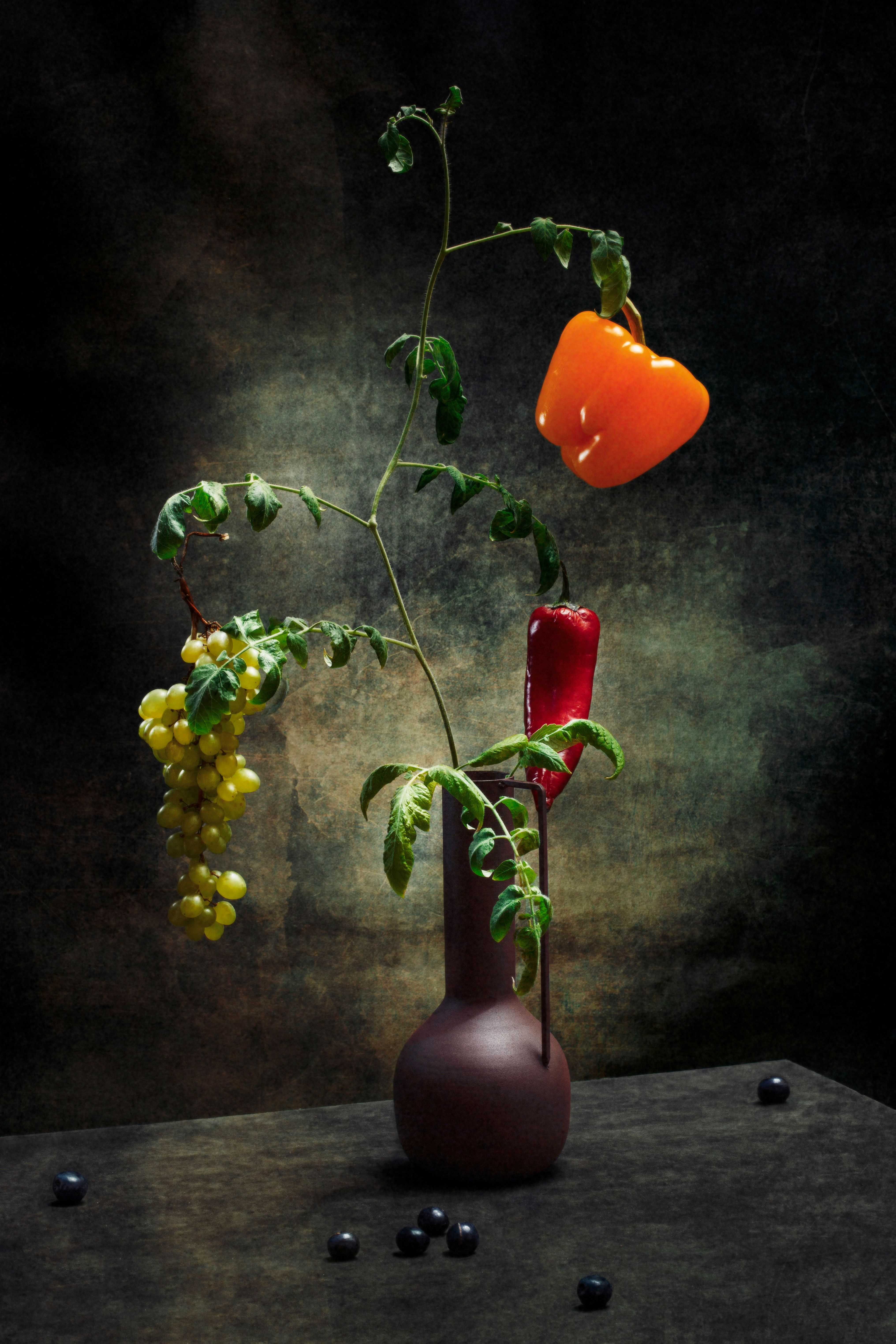 Artistic Still Life with Vegetables and Fruits · Free Stock Photo