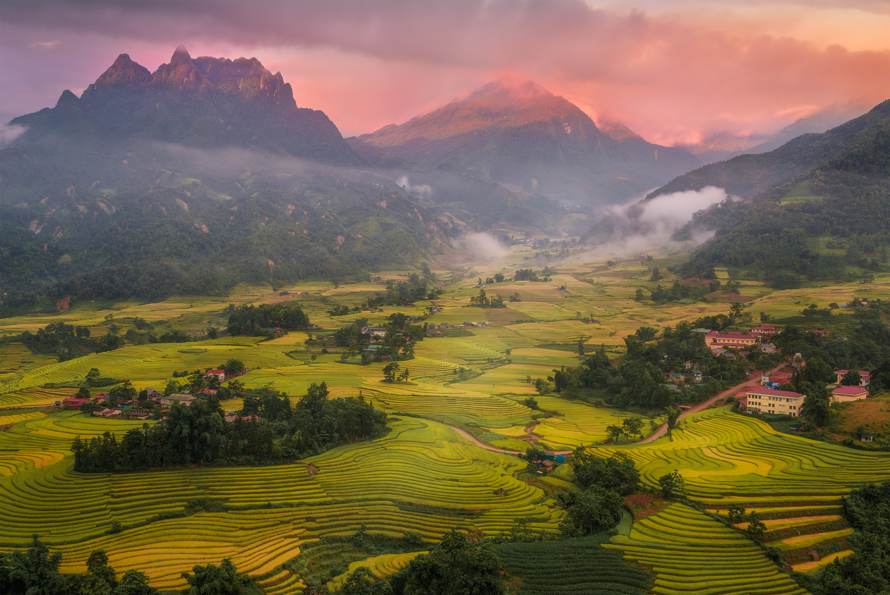 Beautiful Terraced Fields in Mountainous Landscape · Free Stock Photo