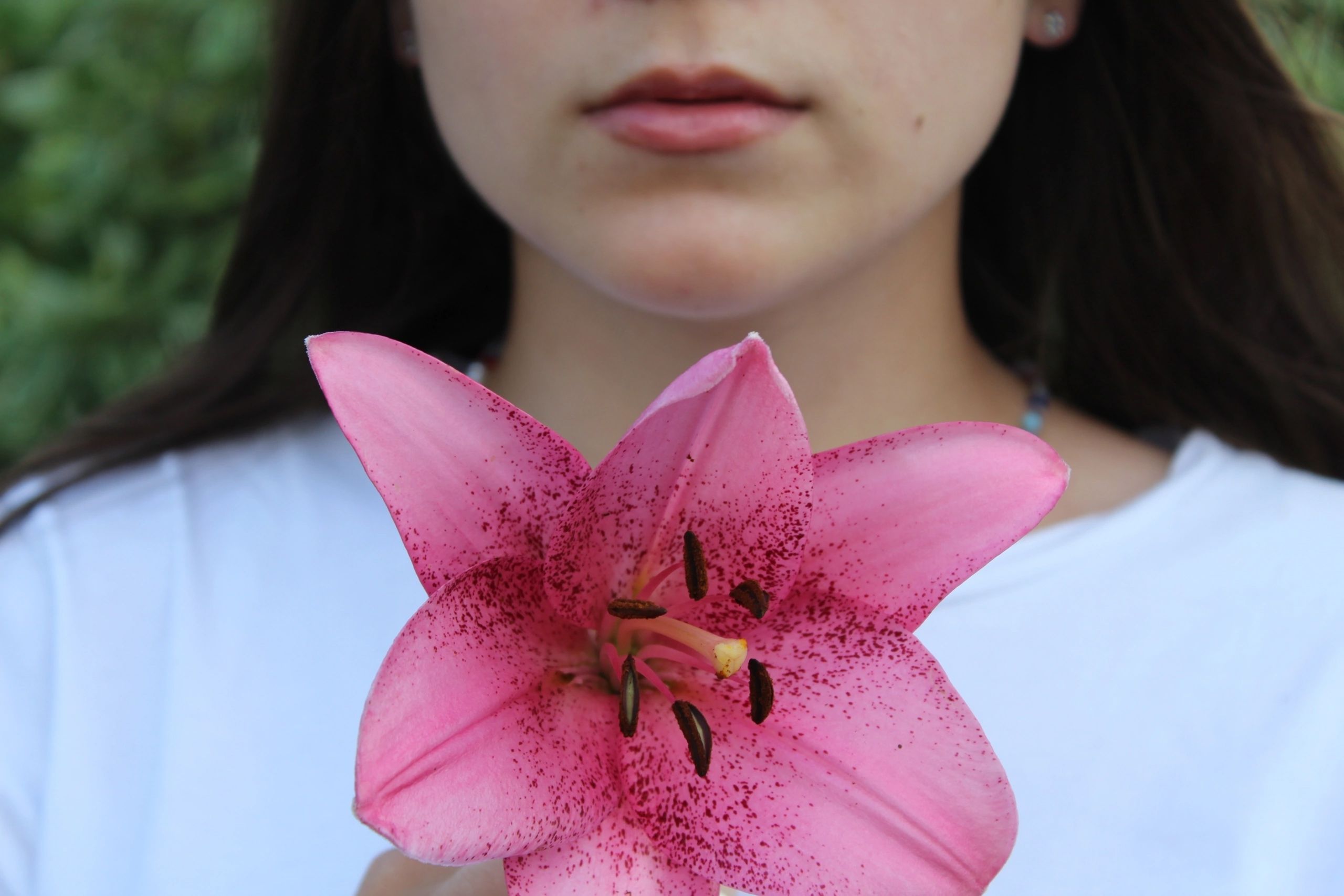 Autism+Flower Photos, Download The BEST Free Autism+Flower Stock Photos ...