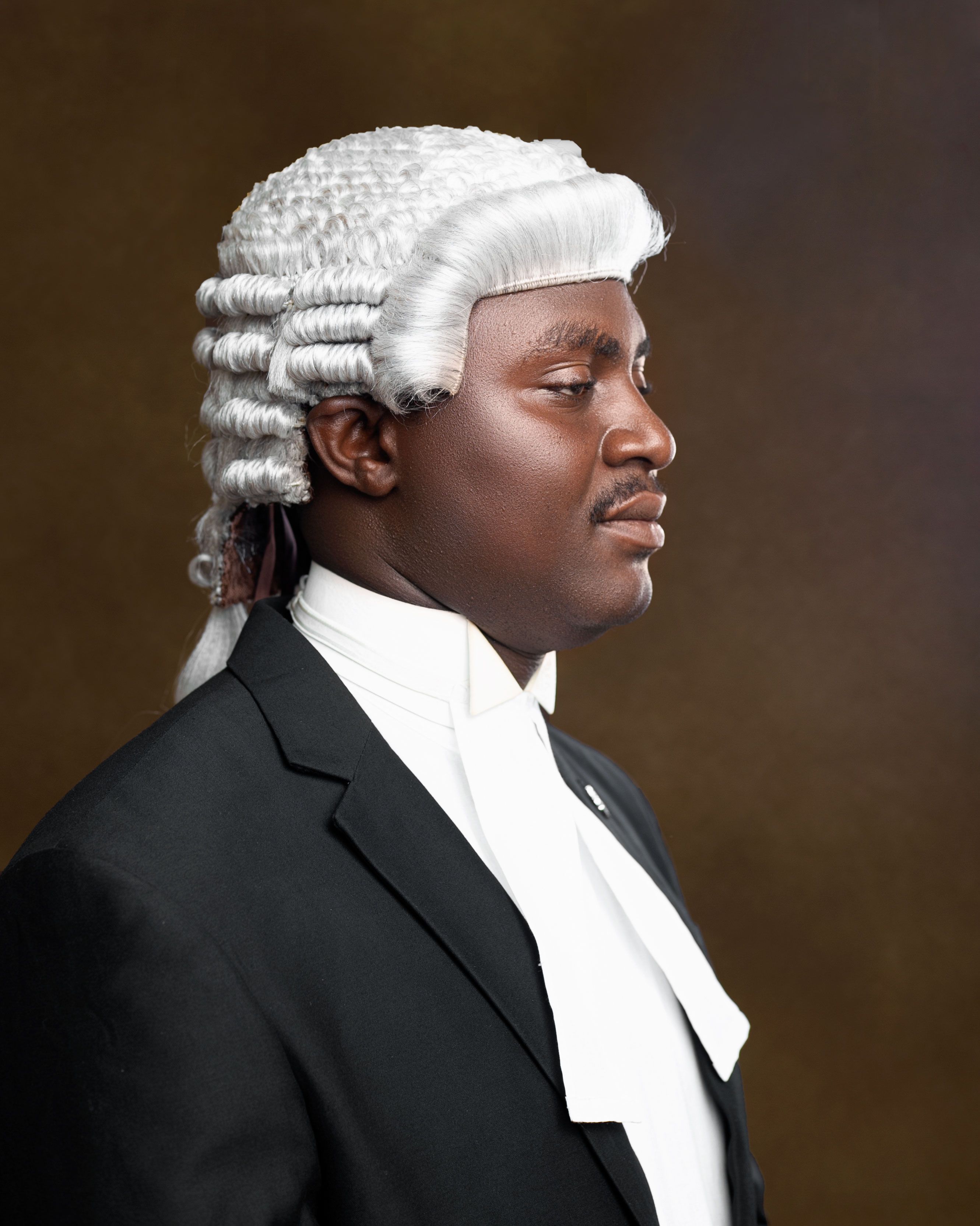 Profile Portrait of a Lawyer in Traditional Wig · Free Stock Photo