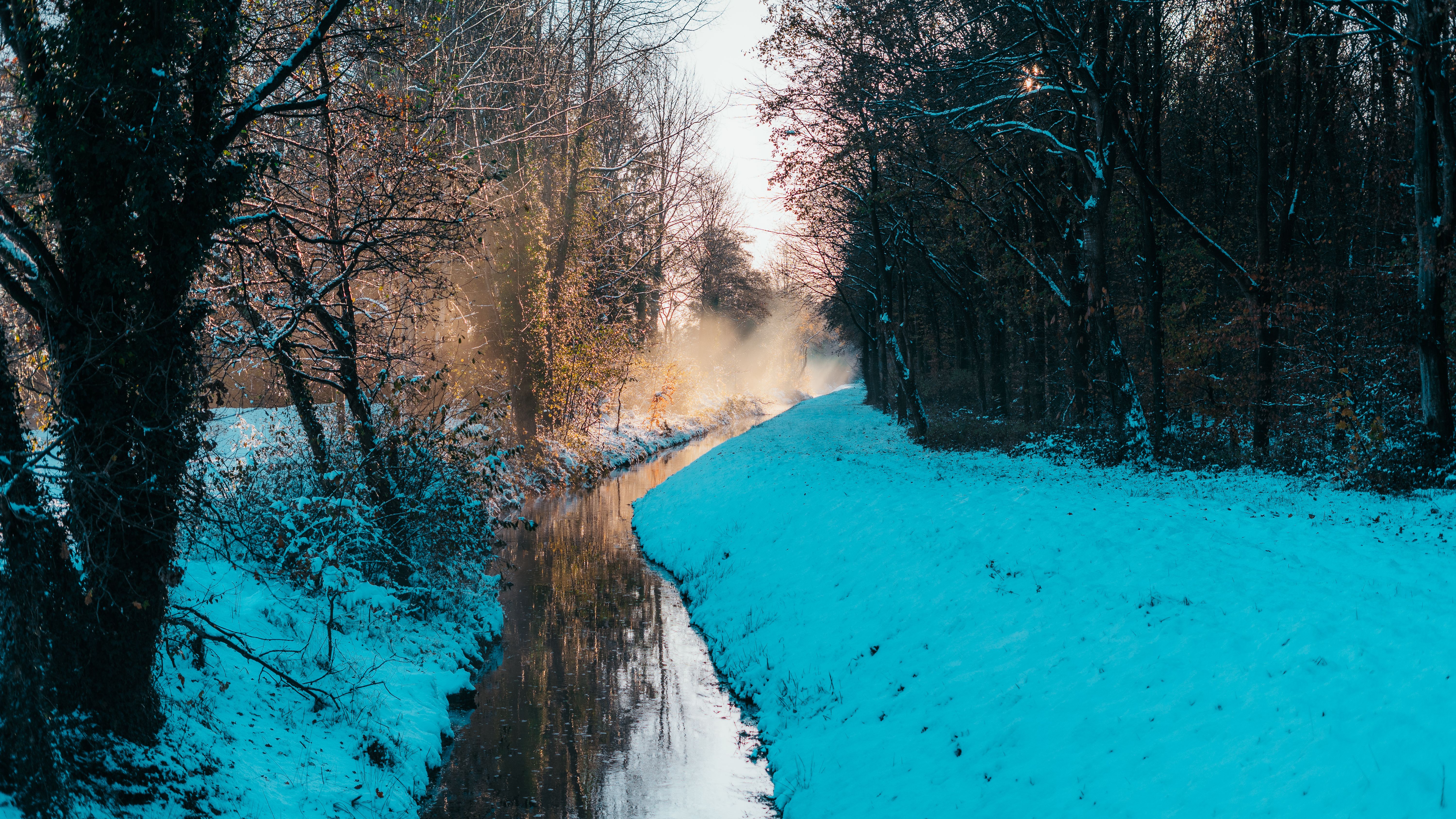 Winter Stream in Snowy Forest, Aurich, Germany · Free Stock Photo