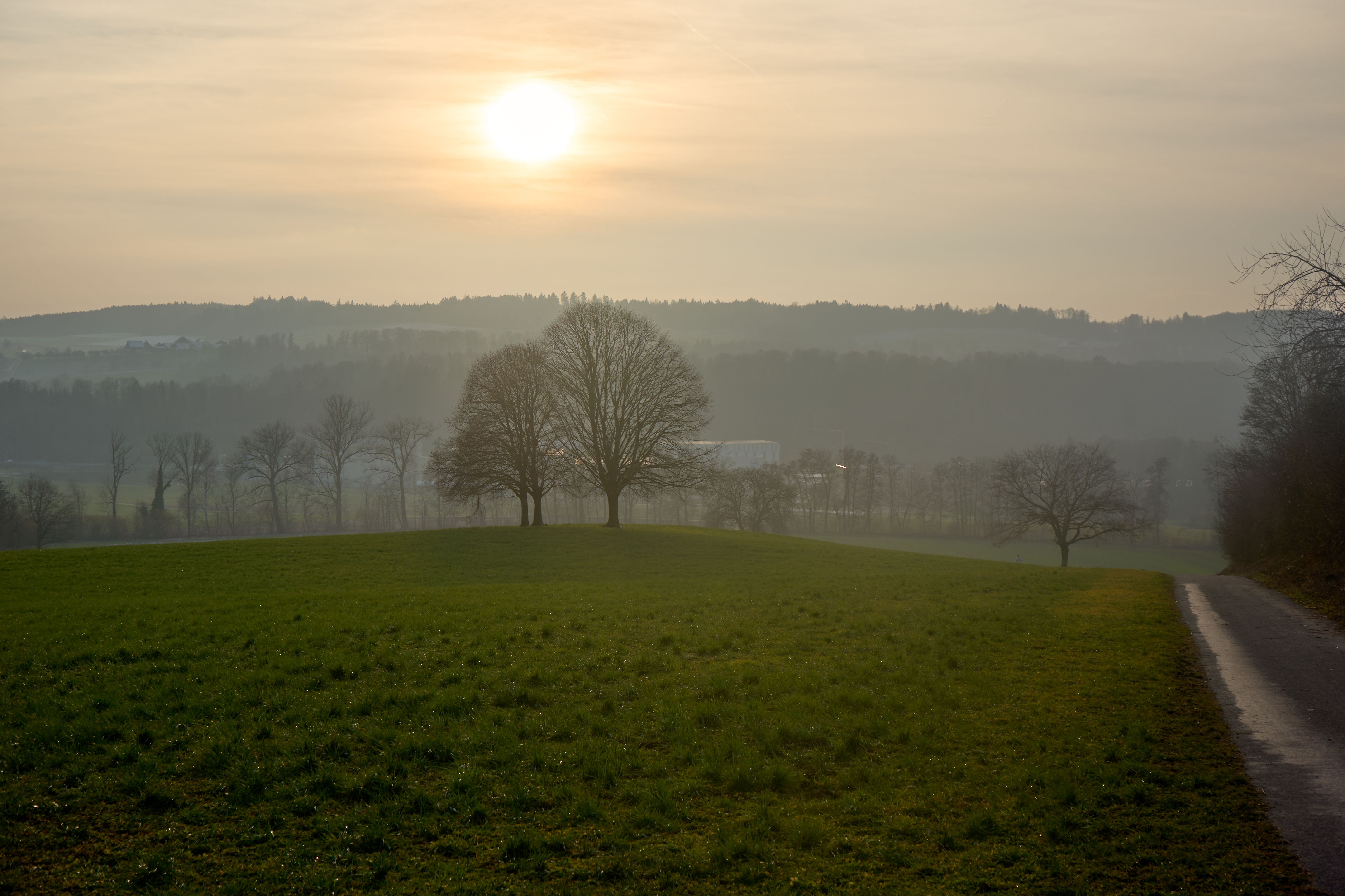 Tranquil Swiss Countryside at Golden Hour · Free Stock Photo