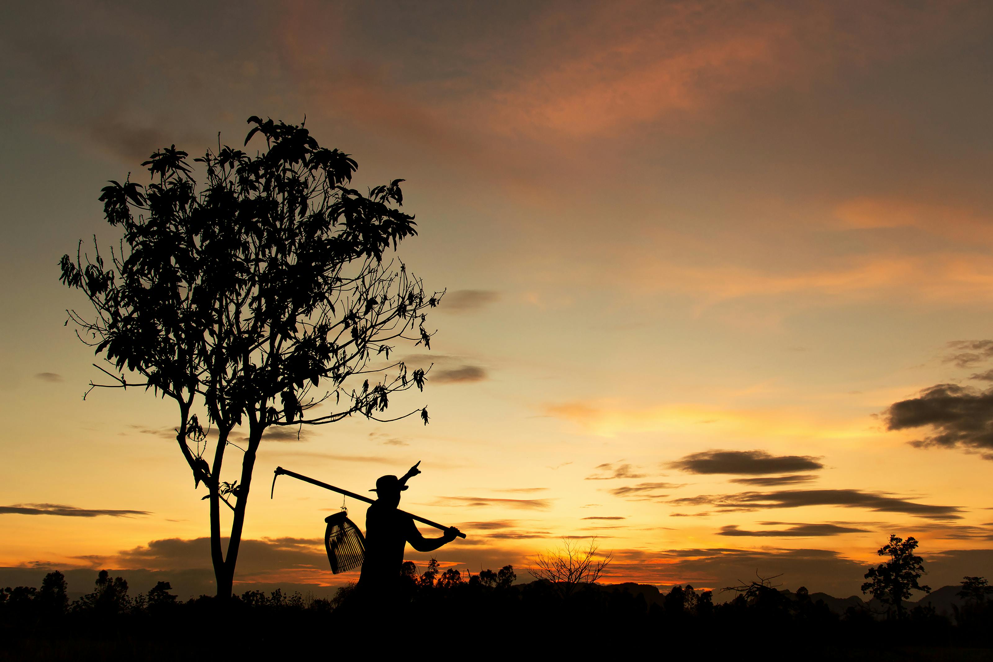 Free stock photo of background, farmer, nature
