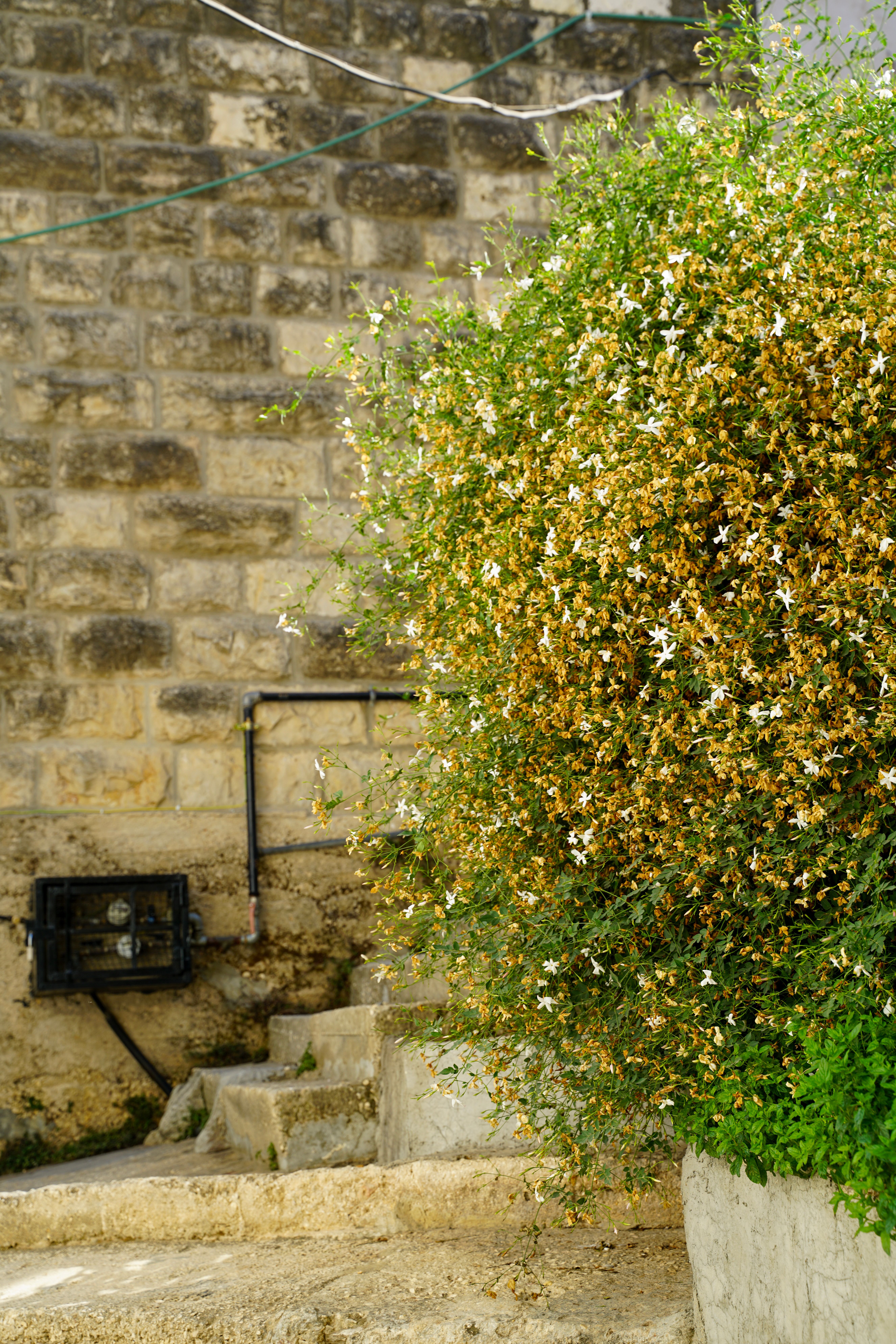 Jasmine+Buison+Pinay Photos, Download The BEST Free Jasmine+Buison ...