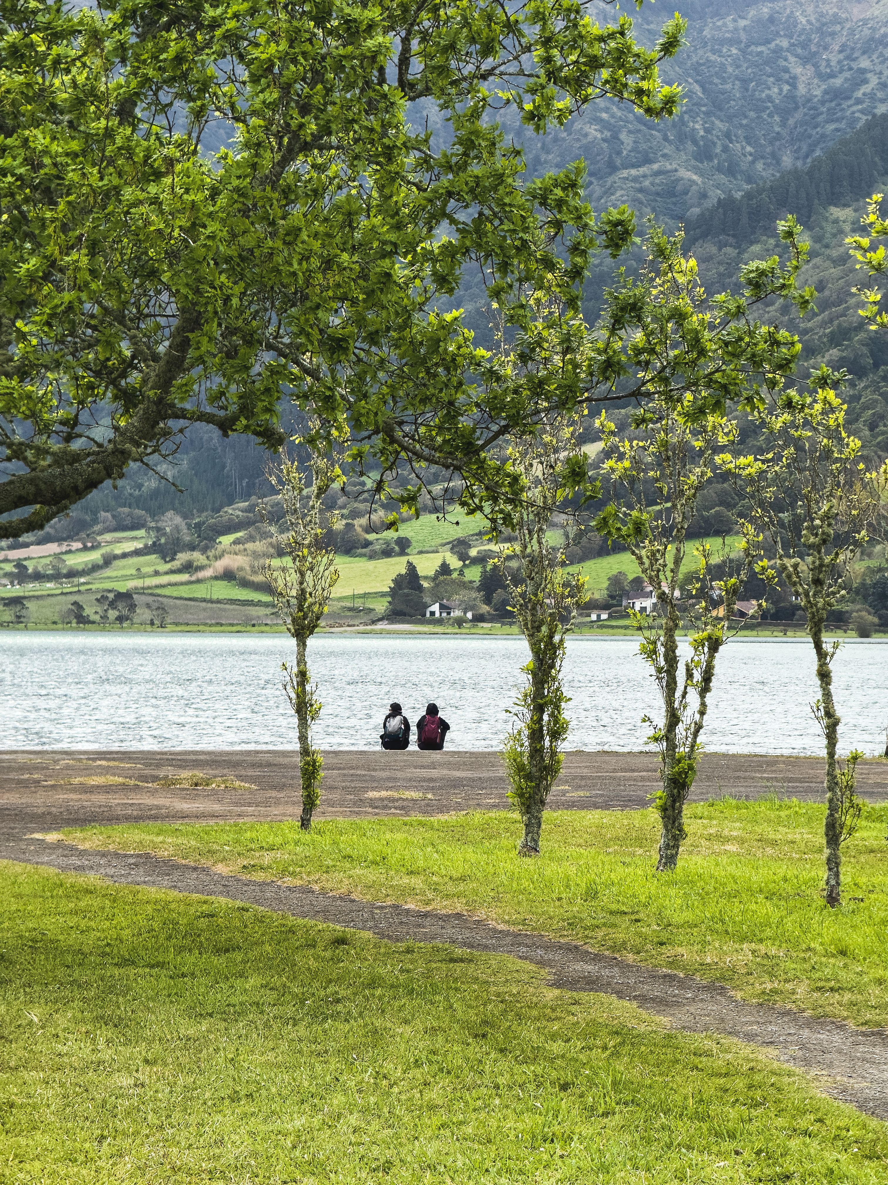 Scenic View of Furnas Lake in Azores · Free Stock Photo