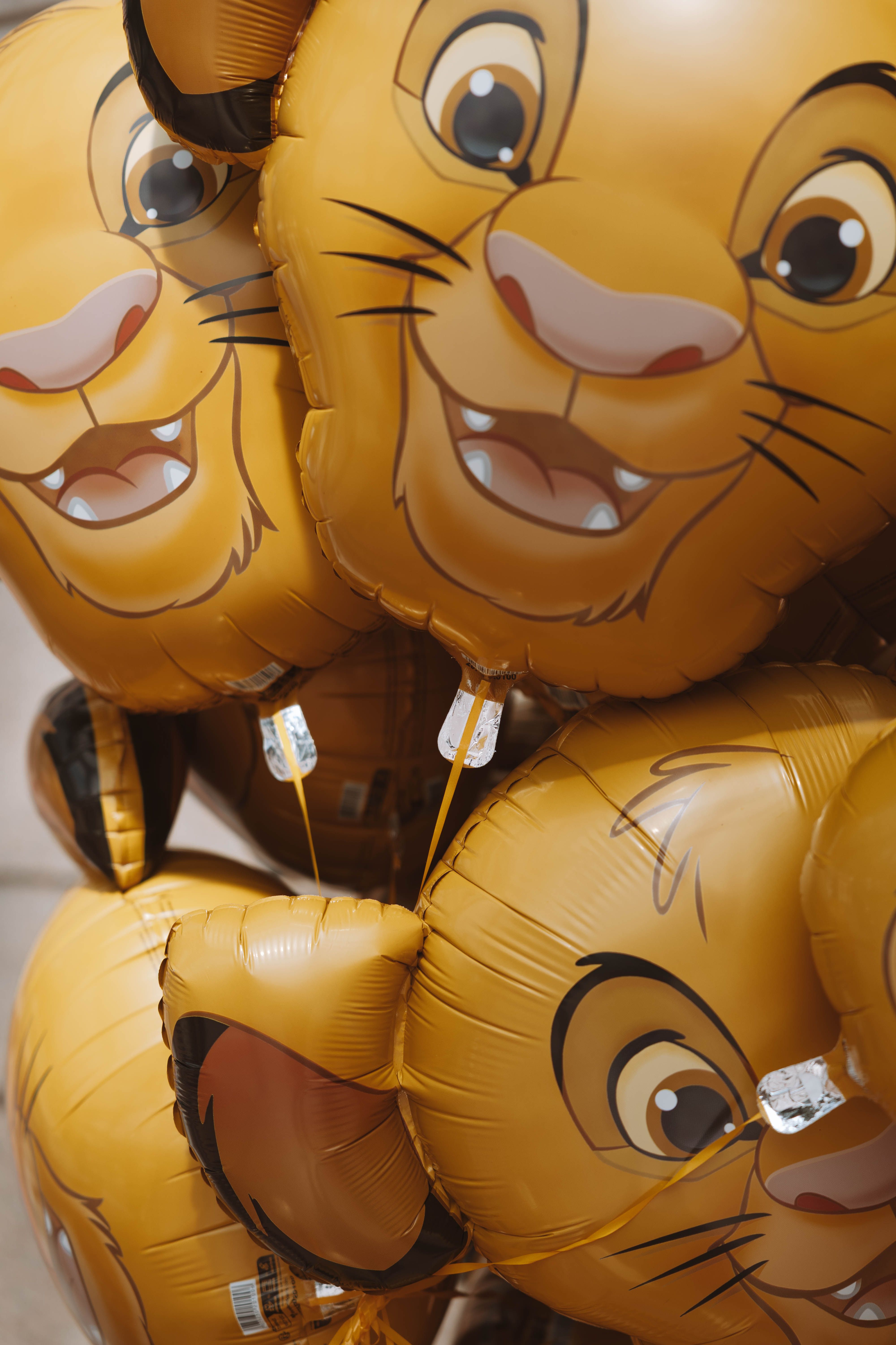 Disney Princesses Animation Photos, Download The BEST Free Disney ...
