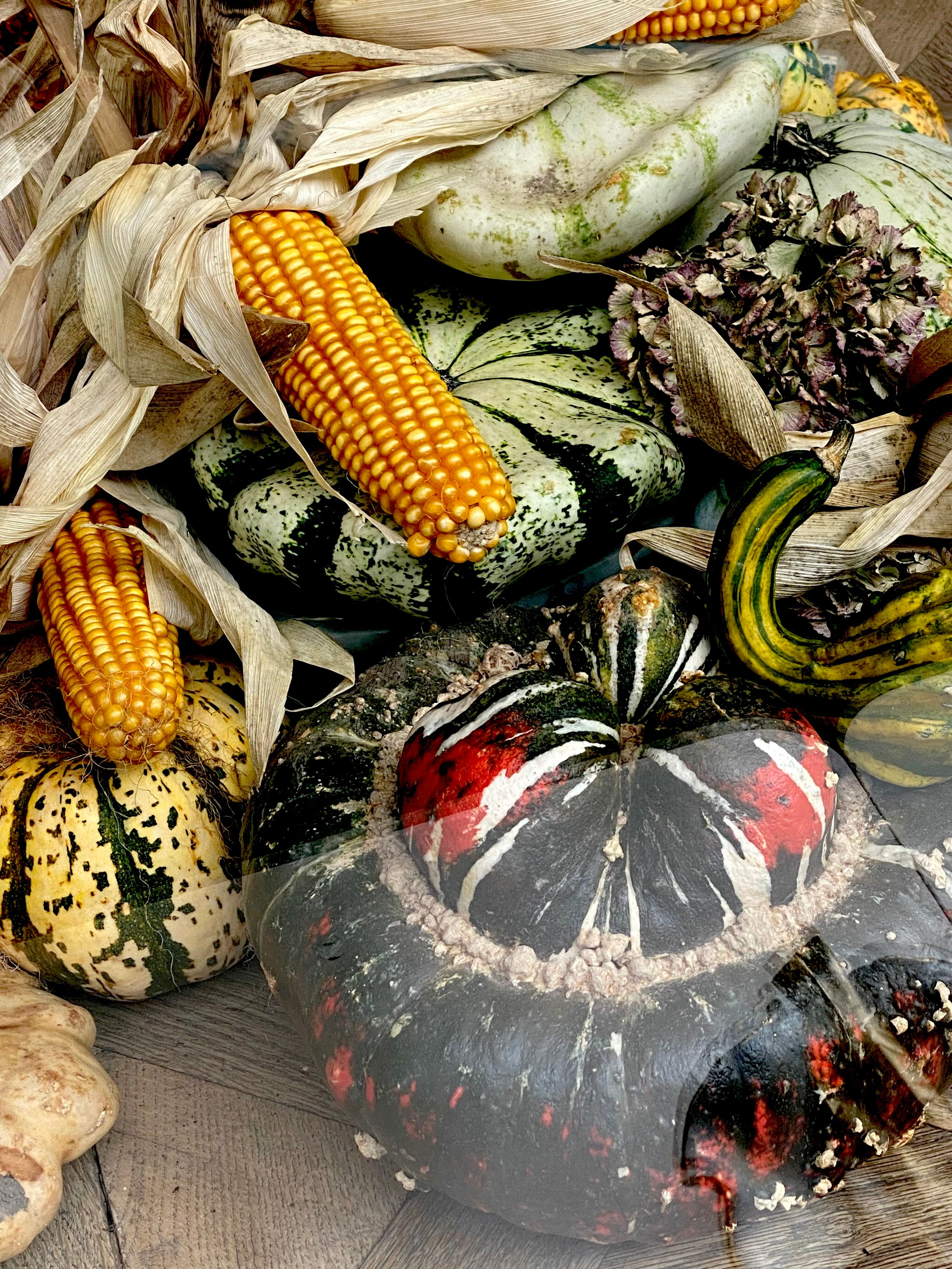 Kyle Thanksgiving Photos, Download The BEST Free Kyle Thanksgiving ...