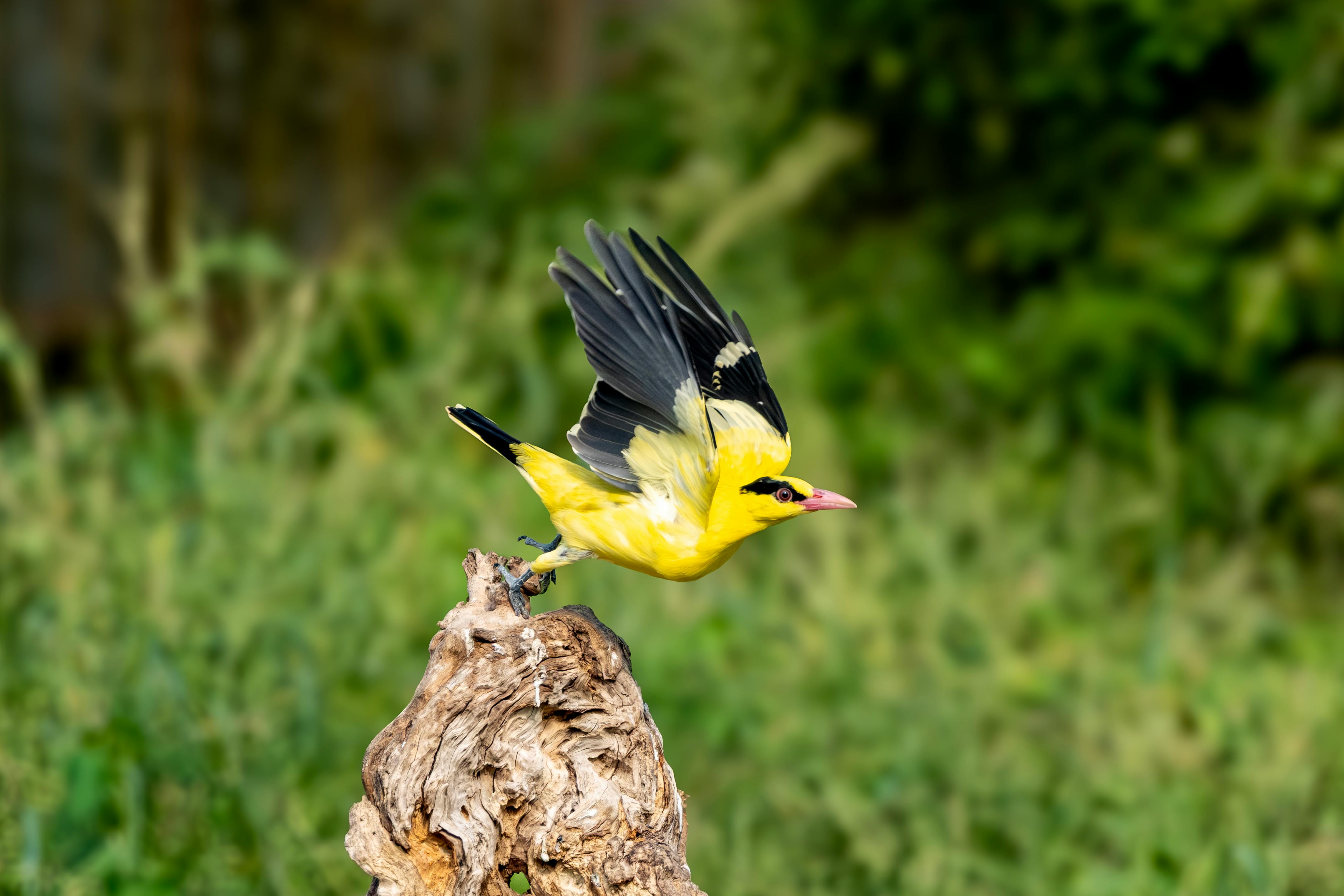 Kayley+Gunner+Spread+Eagle Photos, Download The BEST Free Kayley+Gunner ...