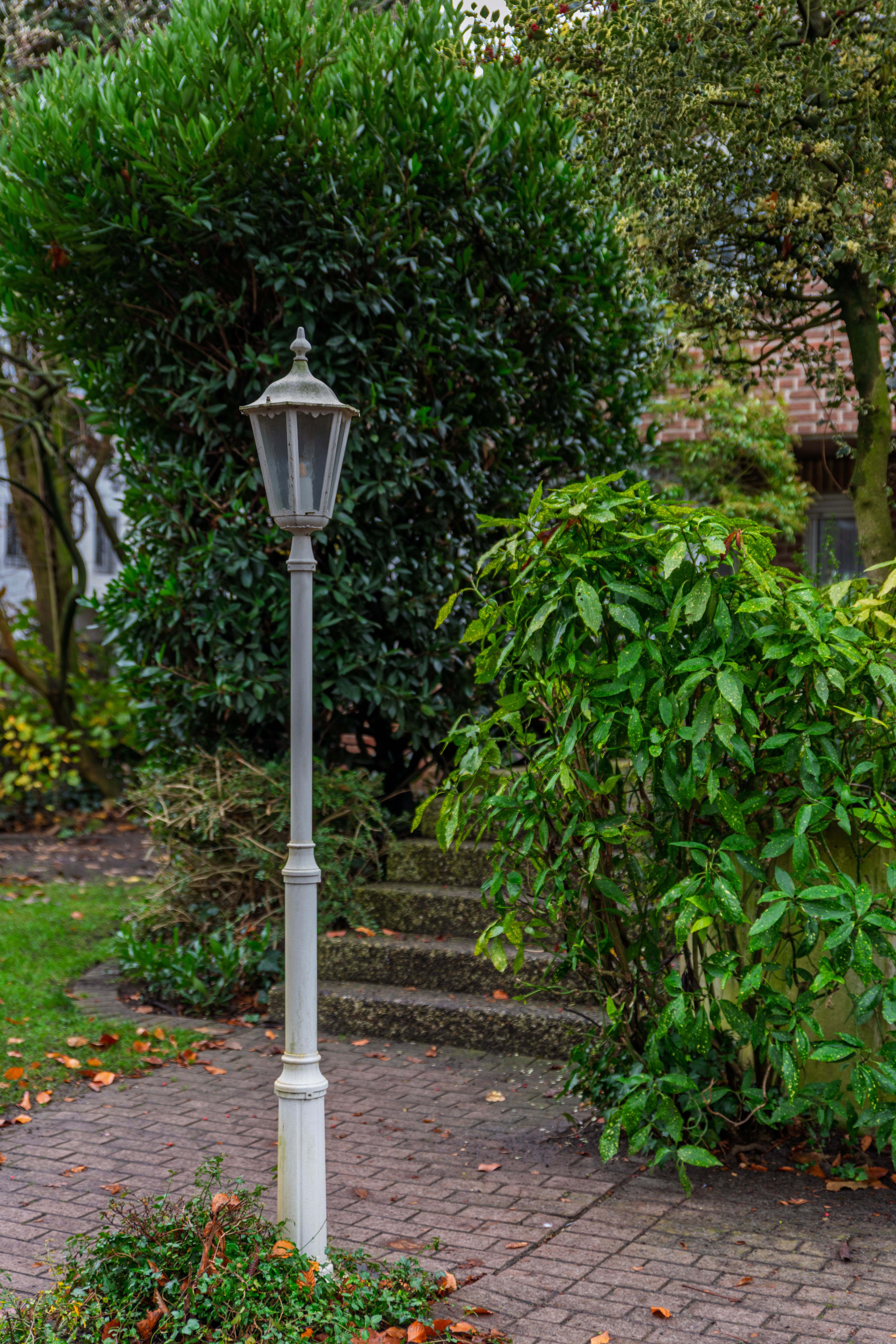 Charming Garden Pathway with Vintage Lamp Post · Free Stock Photo
