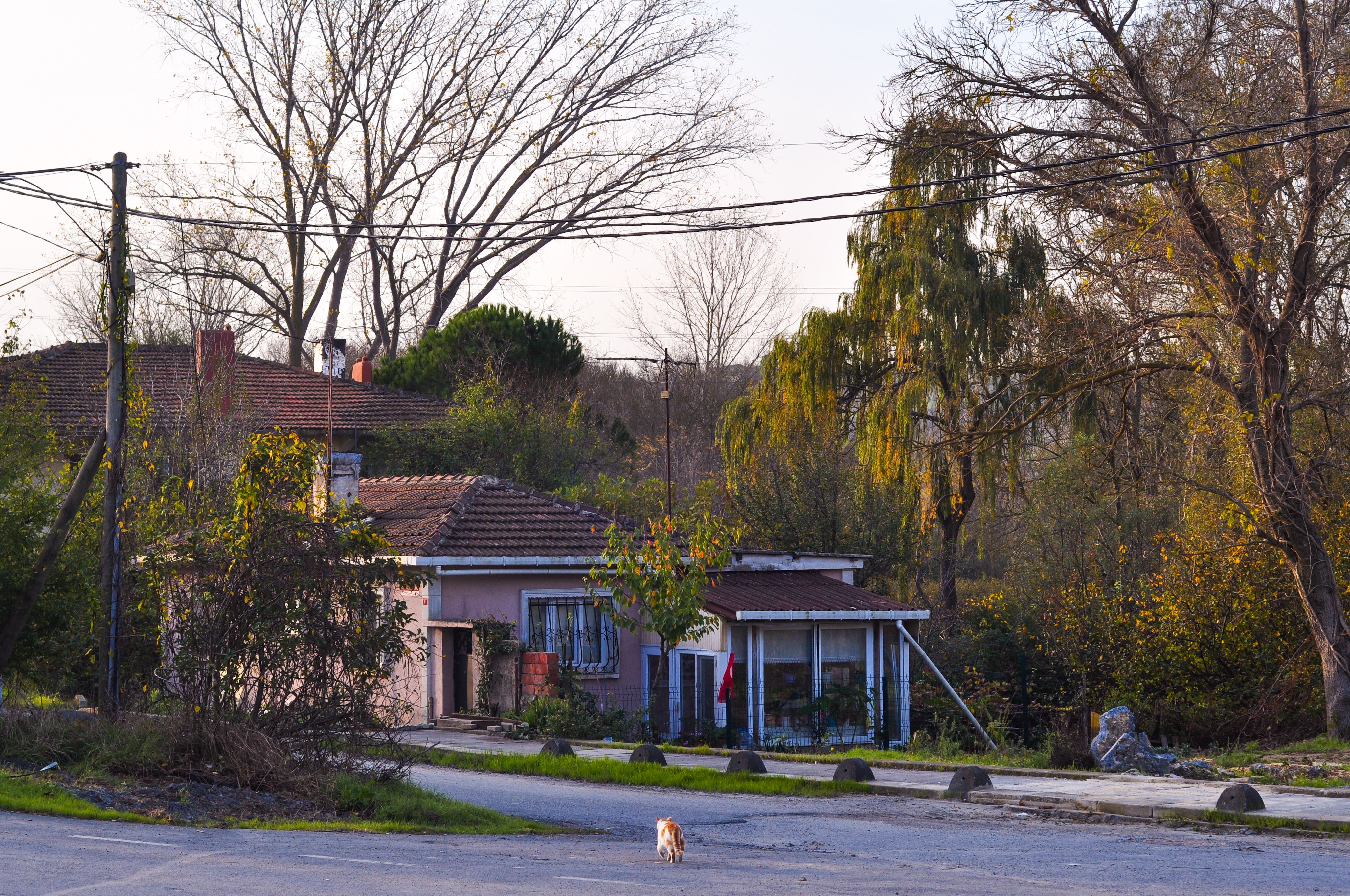 Charming Rural Houses in a Quiet Neighborhood · Free Stock Photo