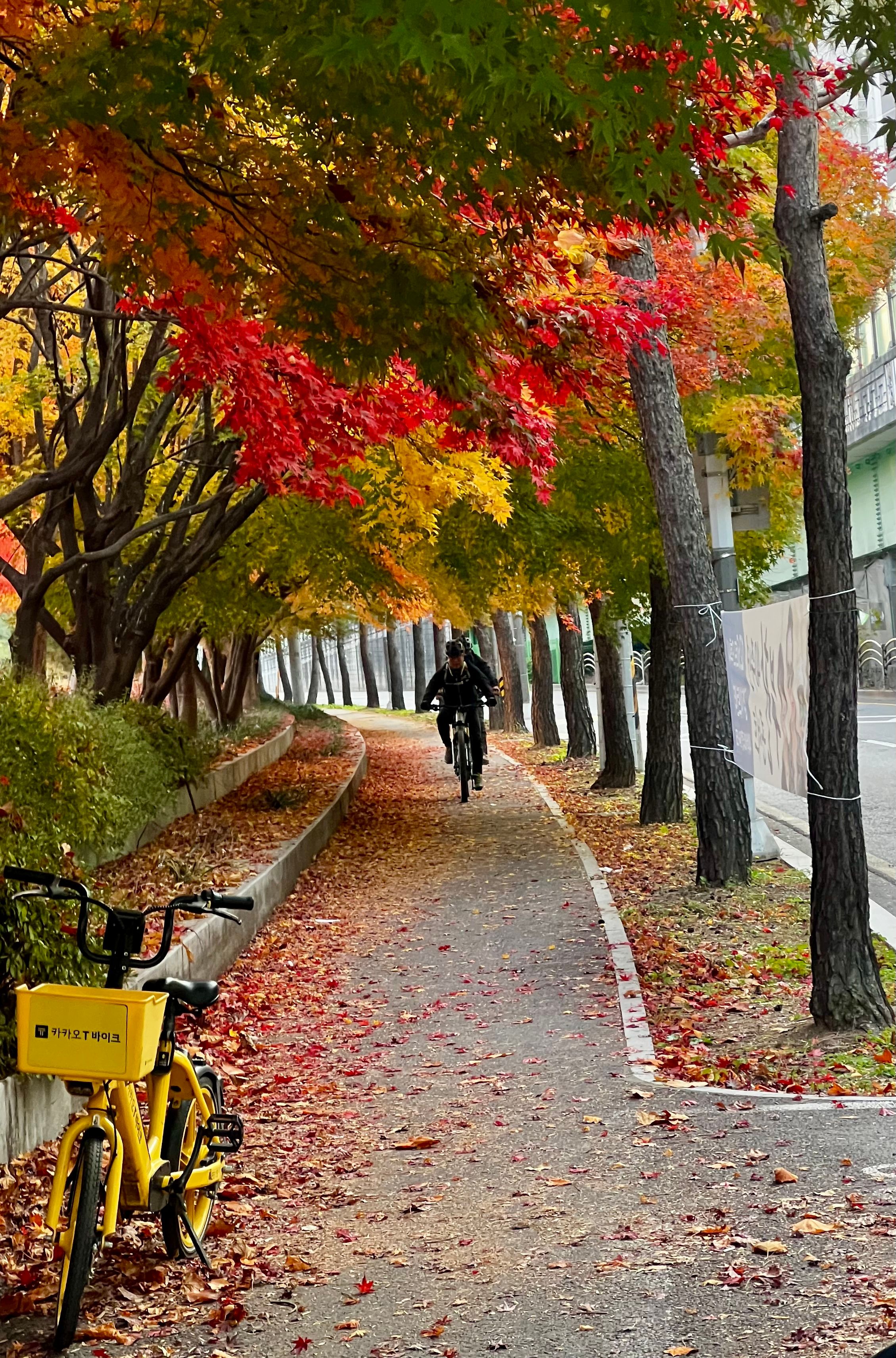 Jandb Bicycle Photos, Download The BEST Free Jandb Bicycle Stock Photos ...
