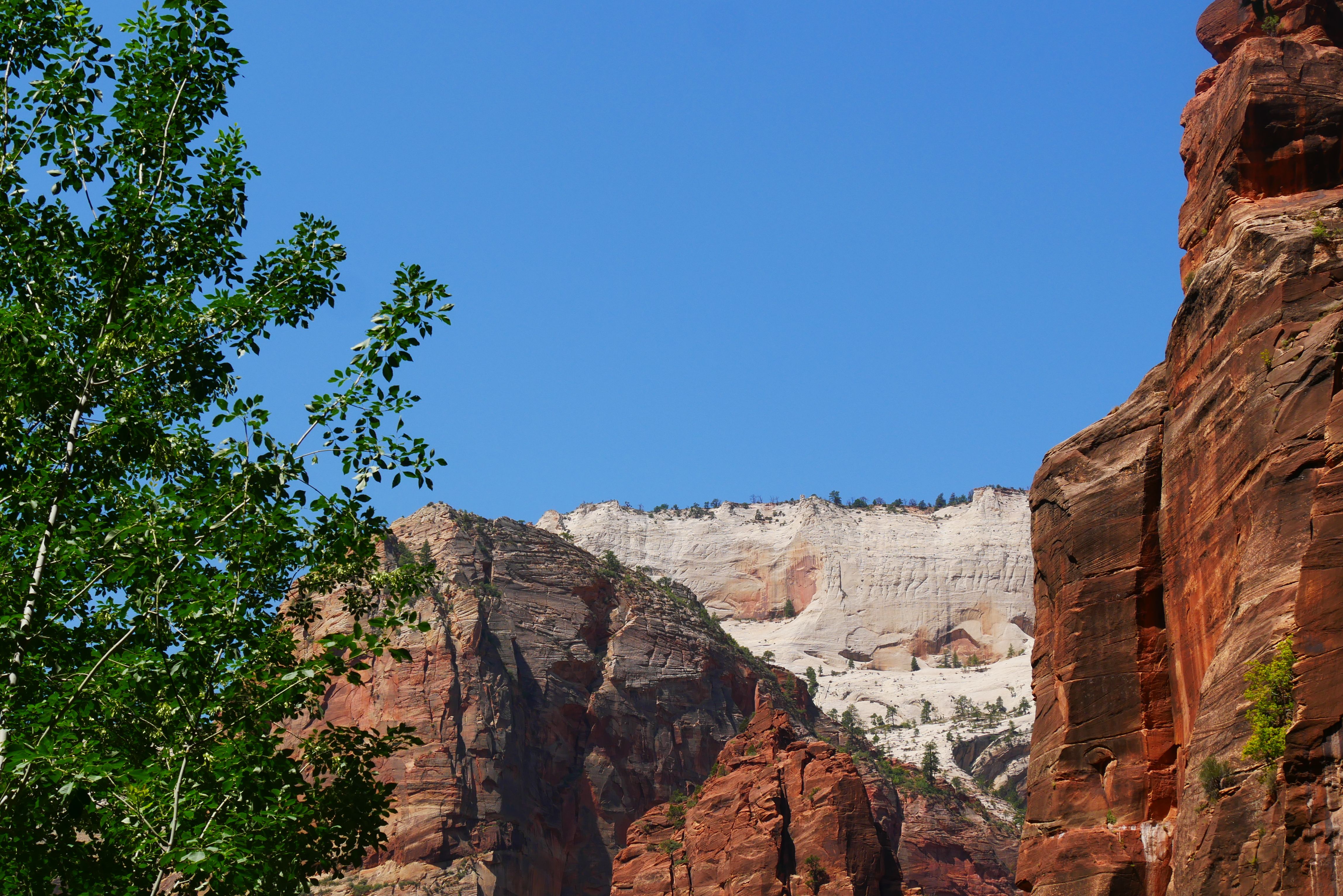 Majestic Red Rock Formations in Zion National Park · Free Stock Photo