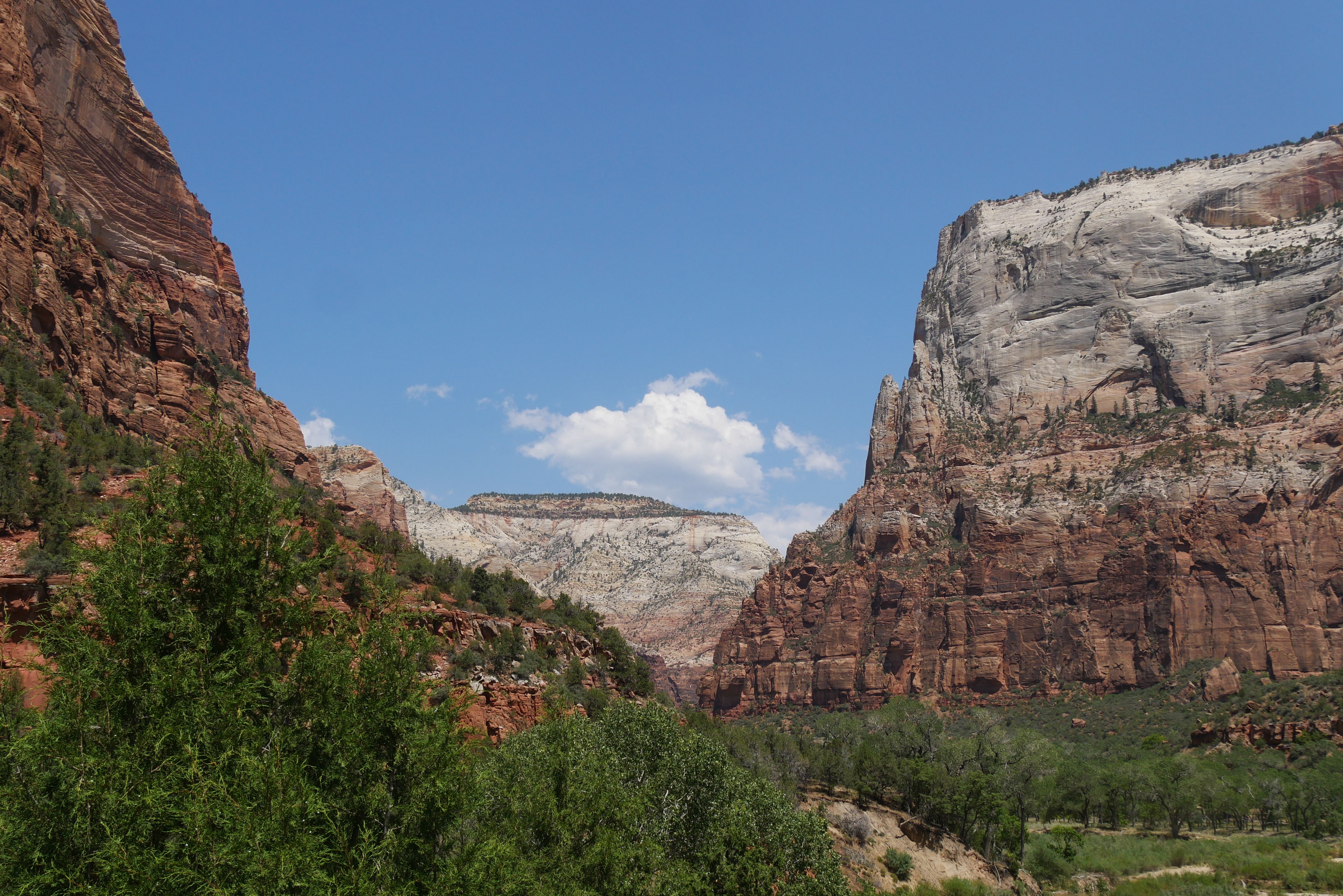 Scenic View of Sandstone Cliffs in Zion National Park · Free Stock Photo