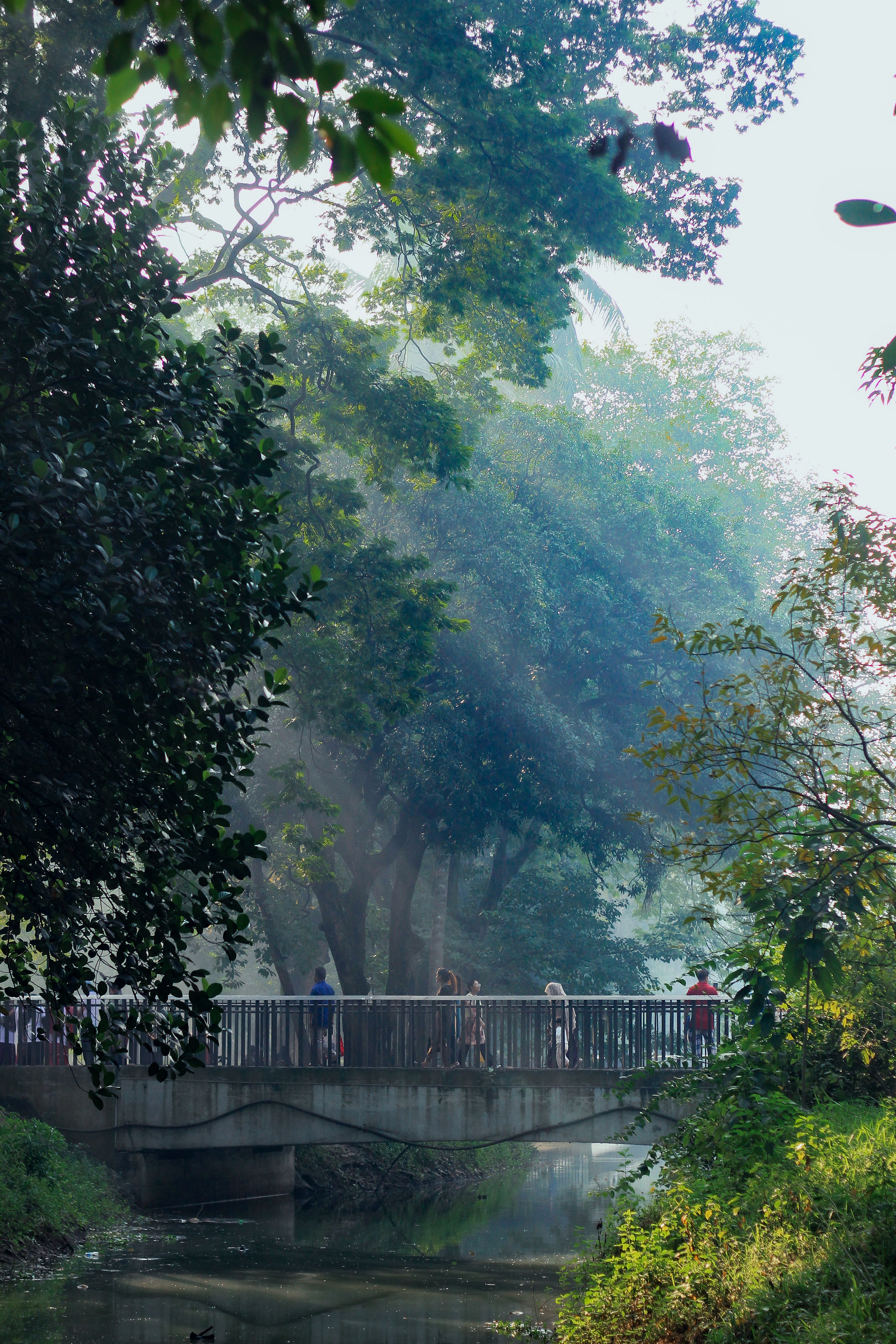 Scenic View of Romna Park Bridge in Dhaka · Free Stock Photo