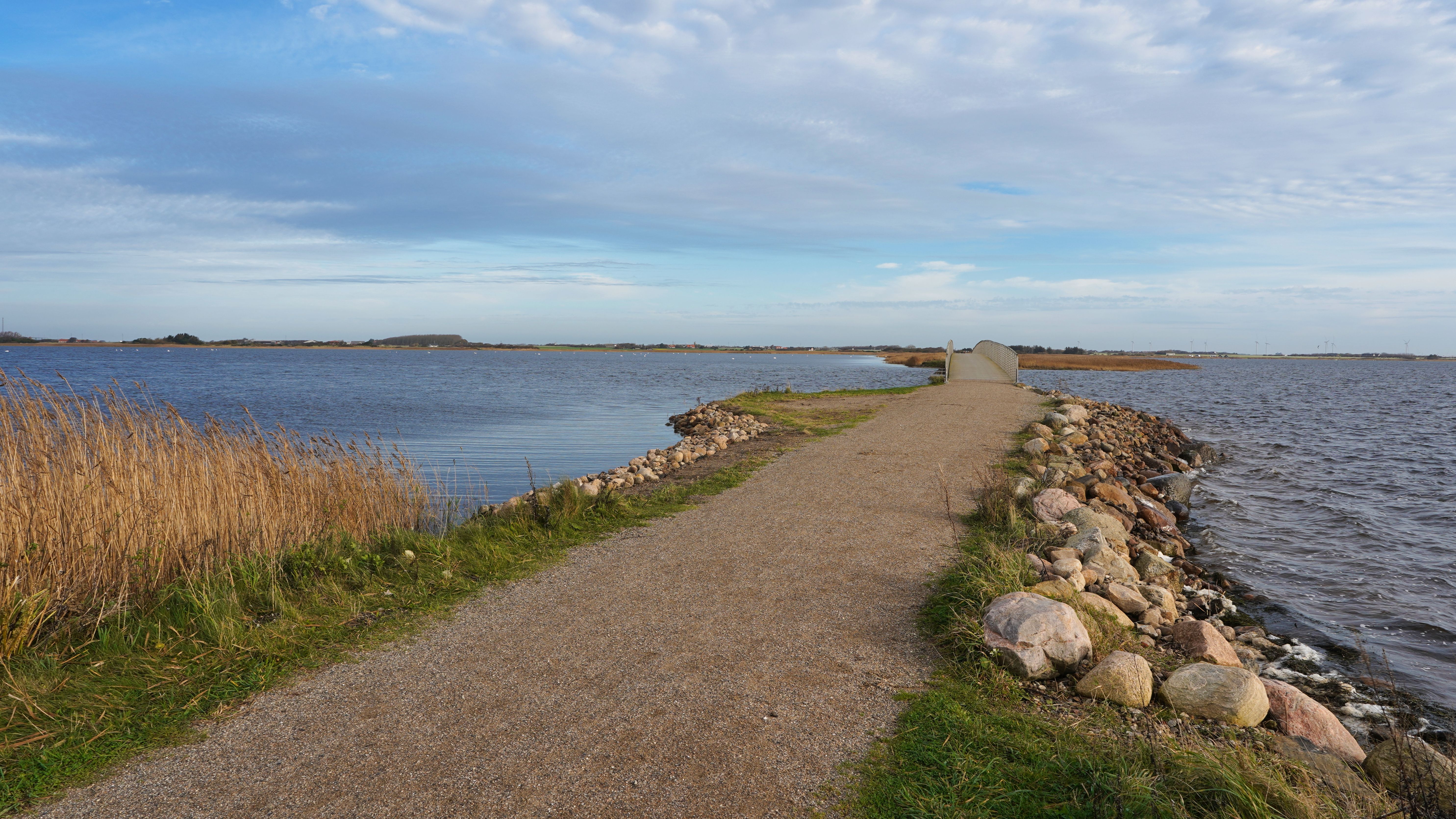 Scenic Coastal Pathway in Søndervig, Denmark · Free Stock Photo
