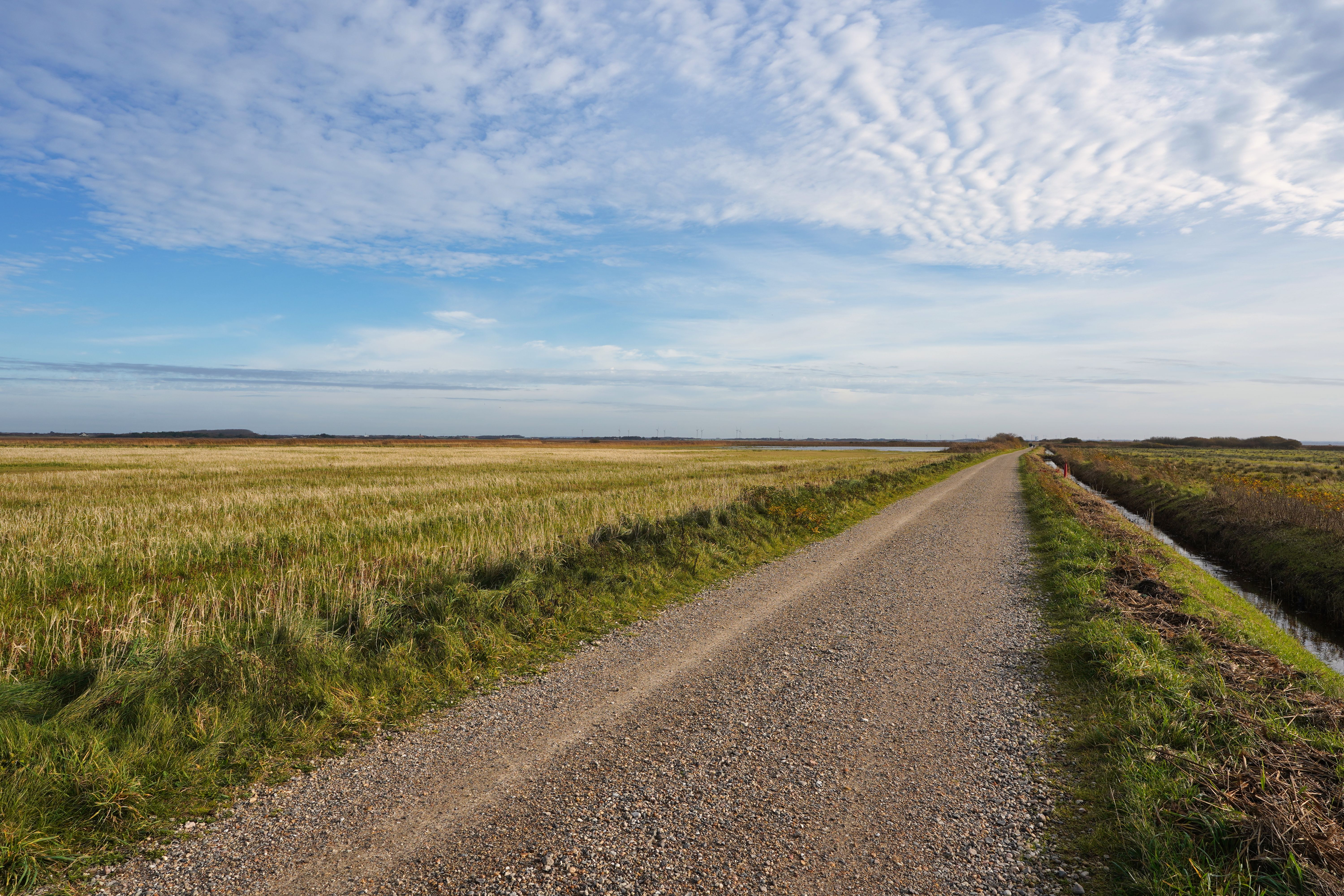Norfolk Landscape Photos, Download The BEST Free Norfolk Landscape ...