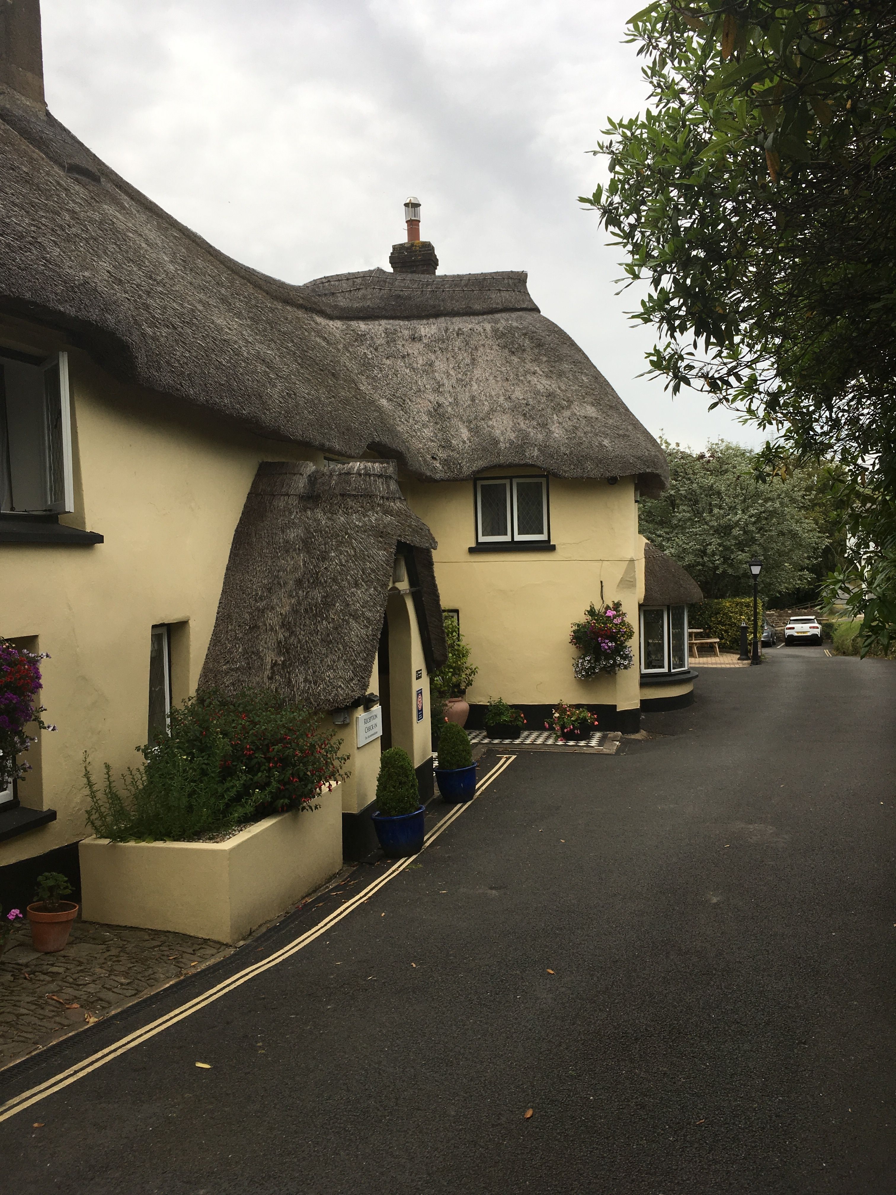 Charming Thatched Cottages in North Devon · Free Stock Photo