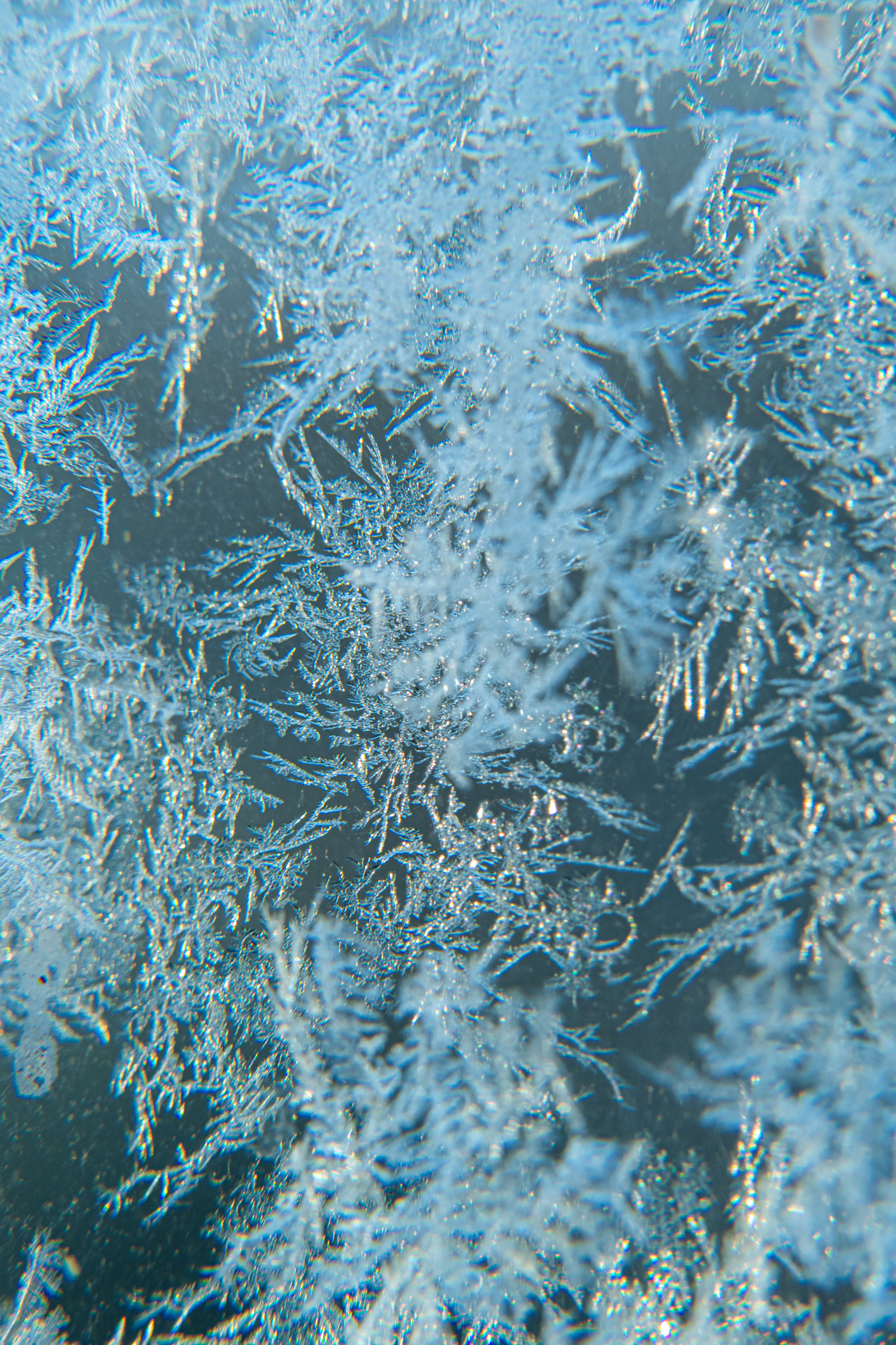 Close-up of Frost Patterns on a Window · Free Stock Photo