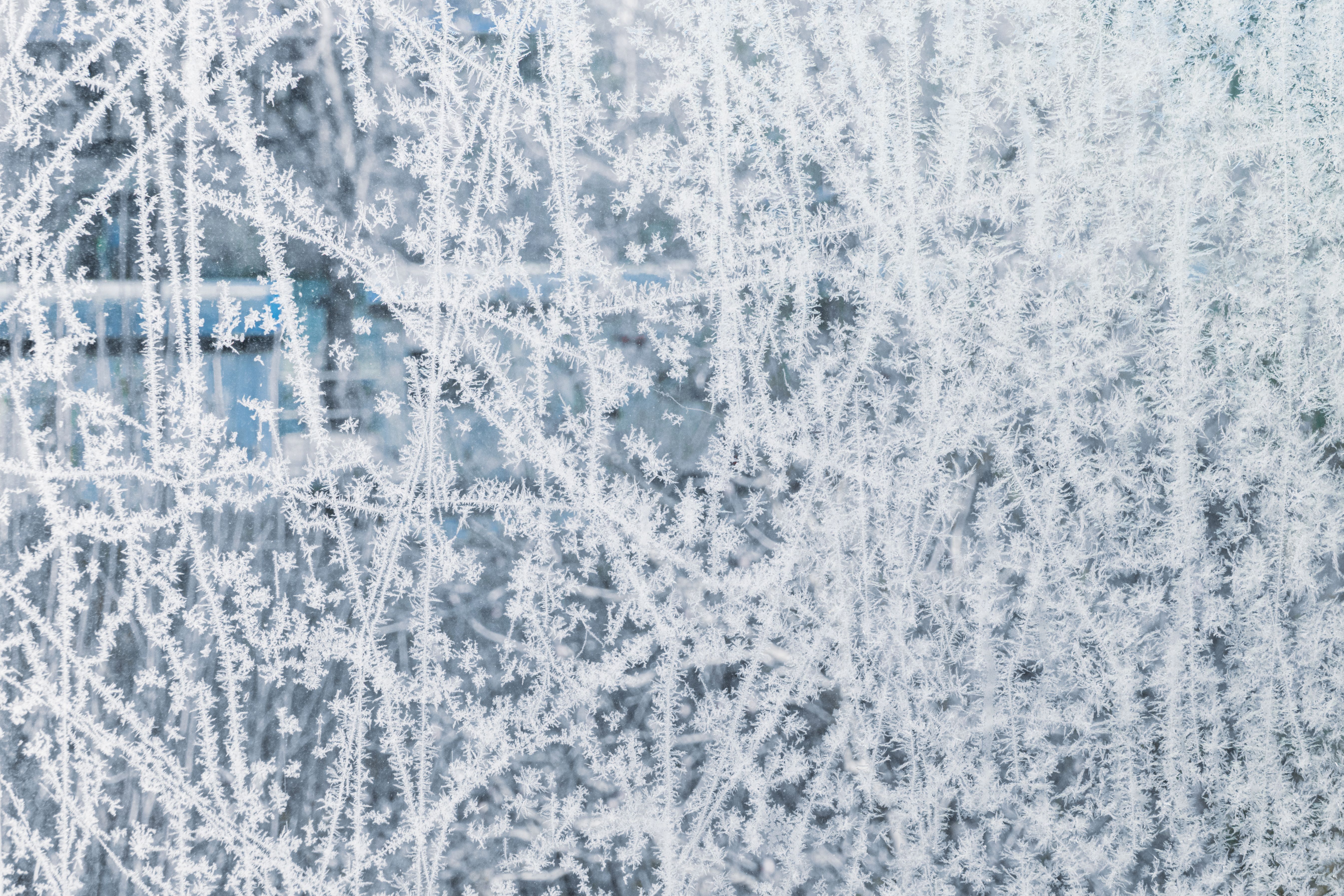 Intricate Frost Patterns on a Winter Window · Free Stock Photo
