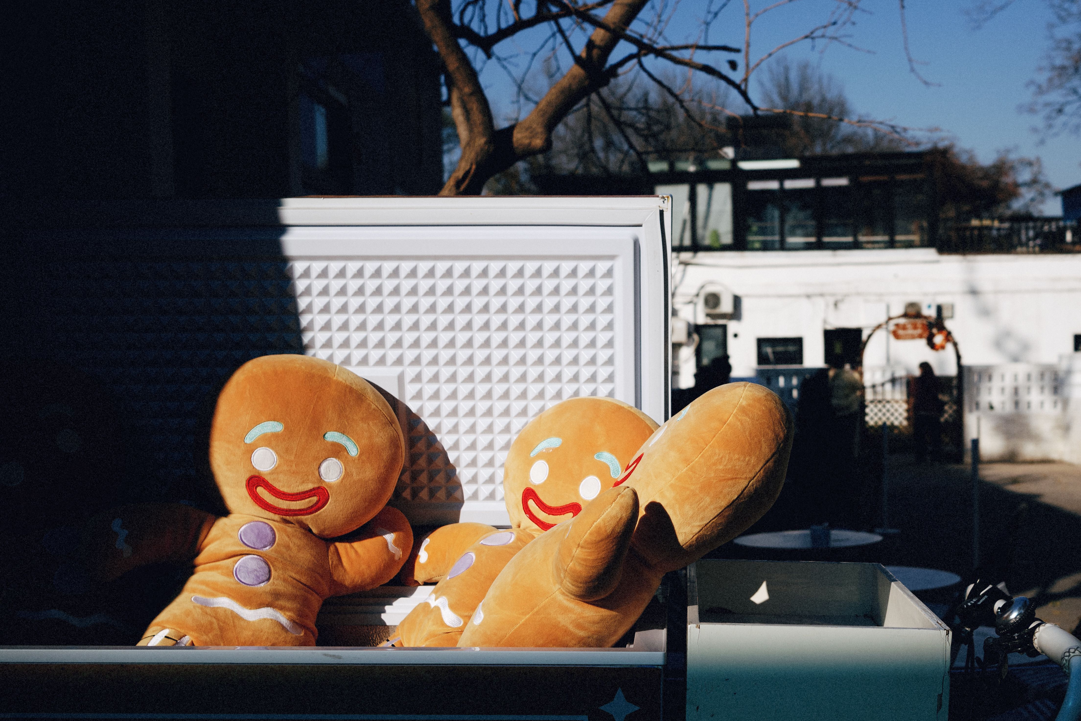 Gingerbread Man Photos, Download The BEST Free Gingerbread Man Stock ...