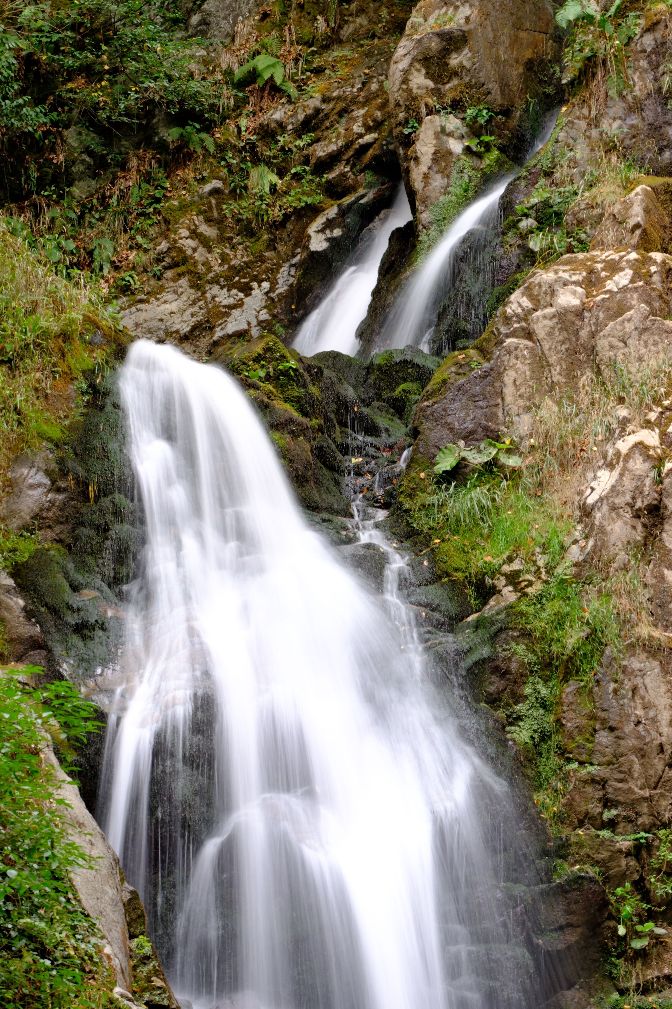 Majestic Waterfall in Lush Forest Setting · Free Stock Photo