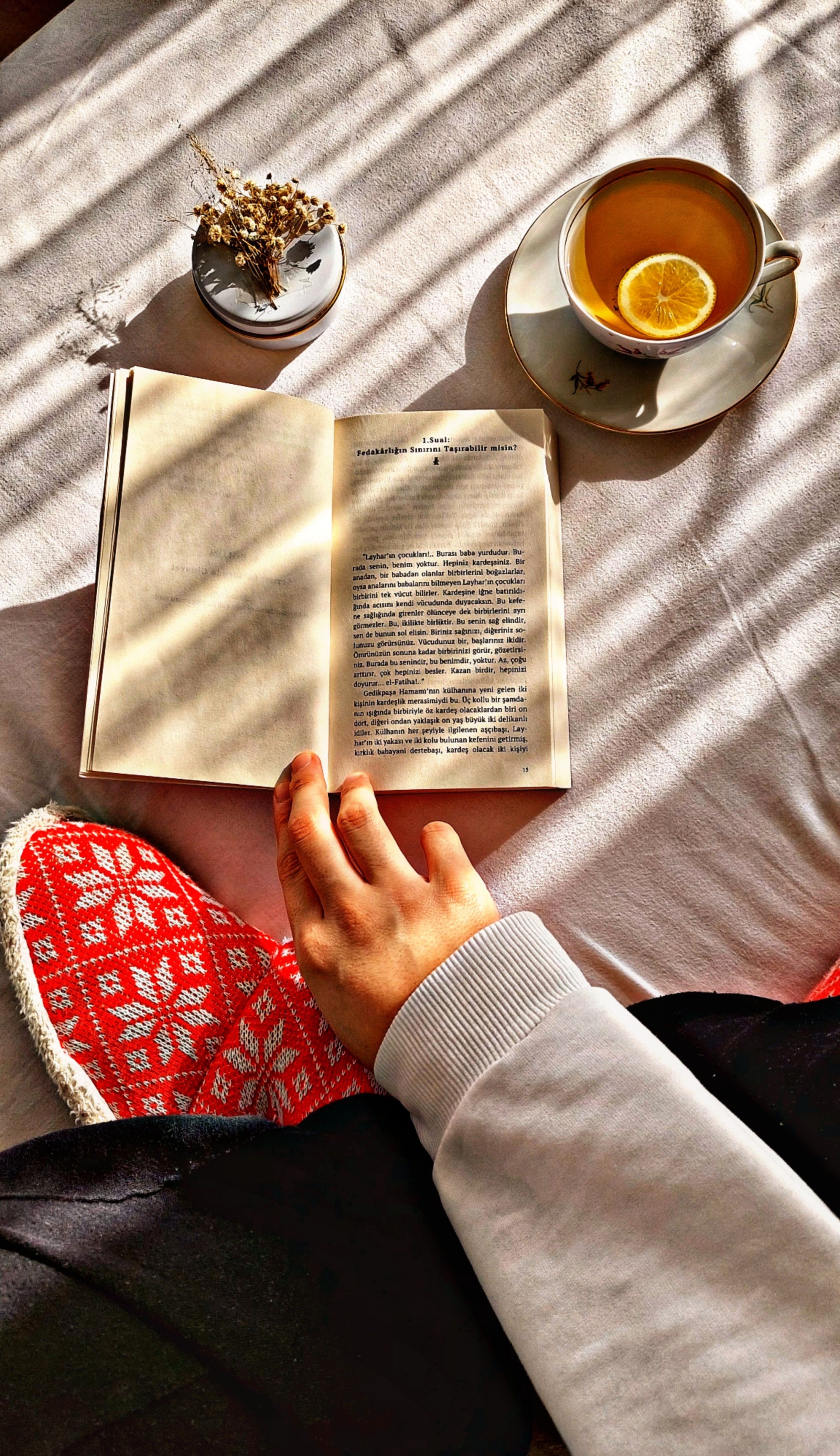 Cozy Reading Morning with Tea and Sunshine · Free Stock Photo