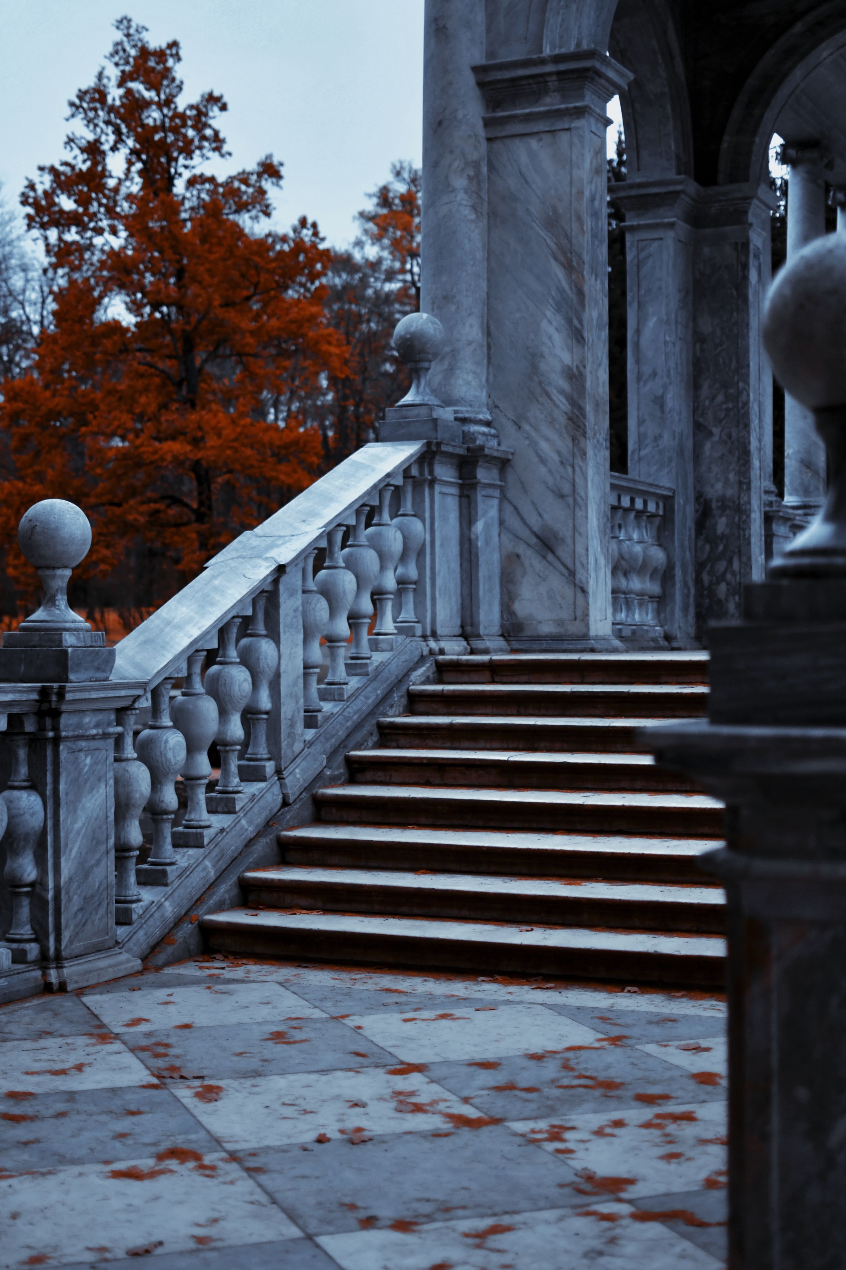 Elegant Stone Staircase in Autumn Setting · Free Stock Photo