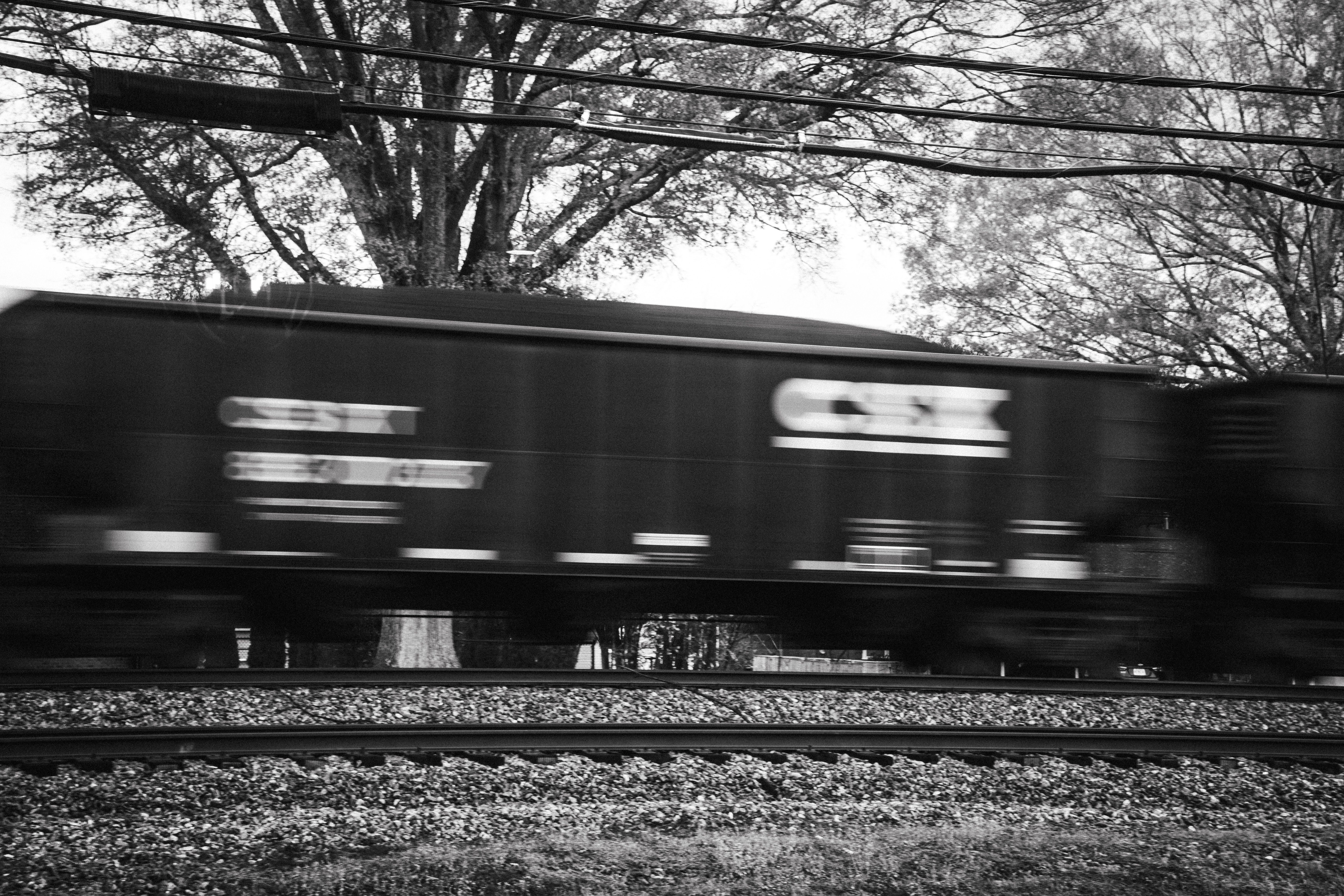 Monochrome Motion Blur of Freight Train with Trees · Free Stock Photo