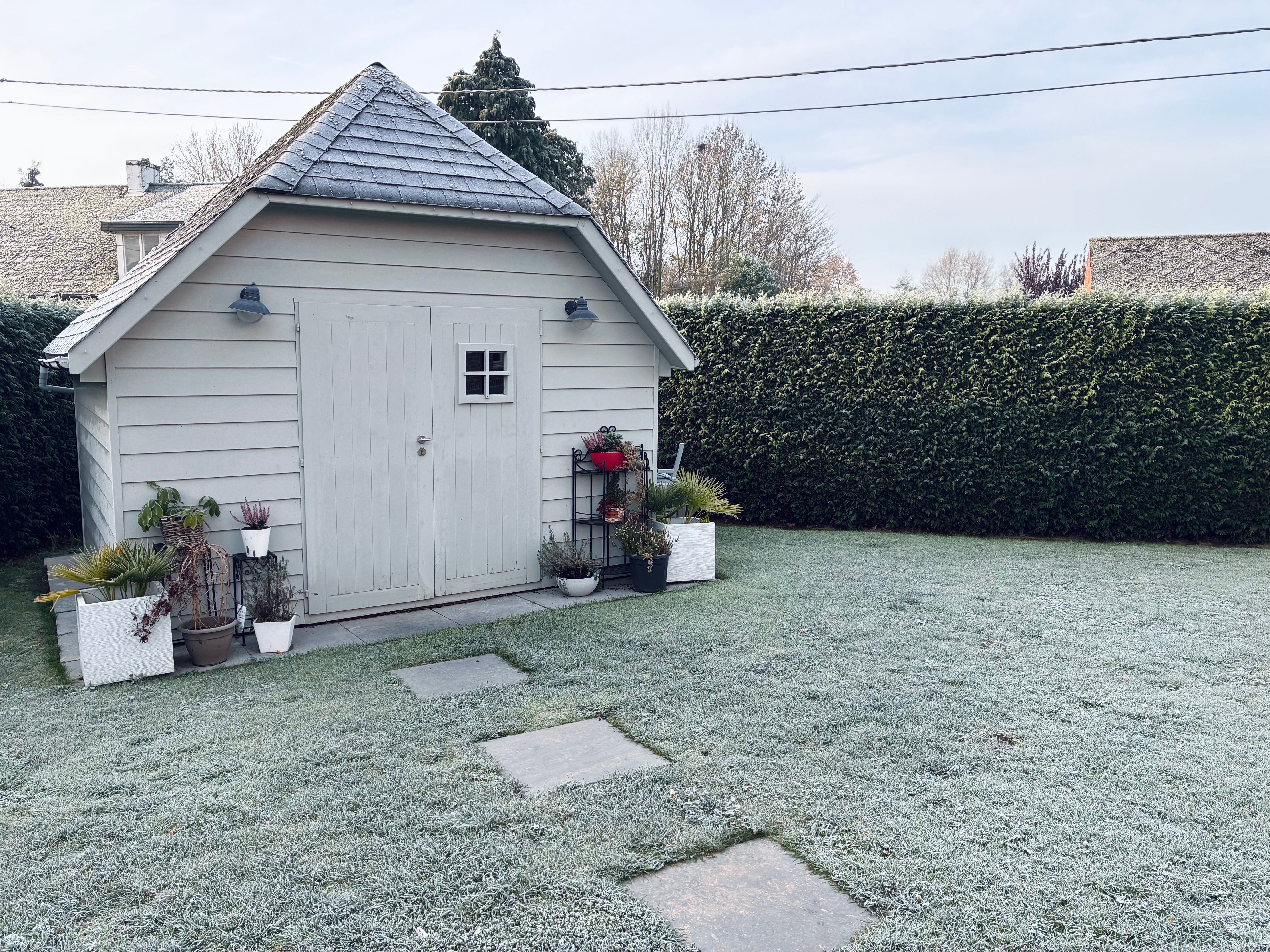 Frosty Garden Shed on a Winter Morning · Free Stock Photo