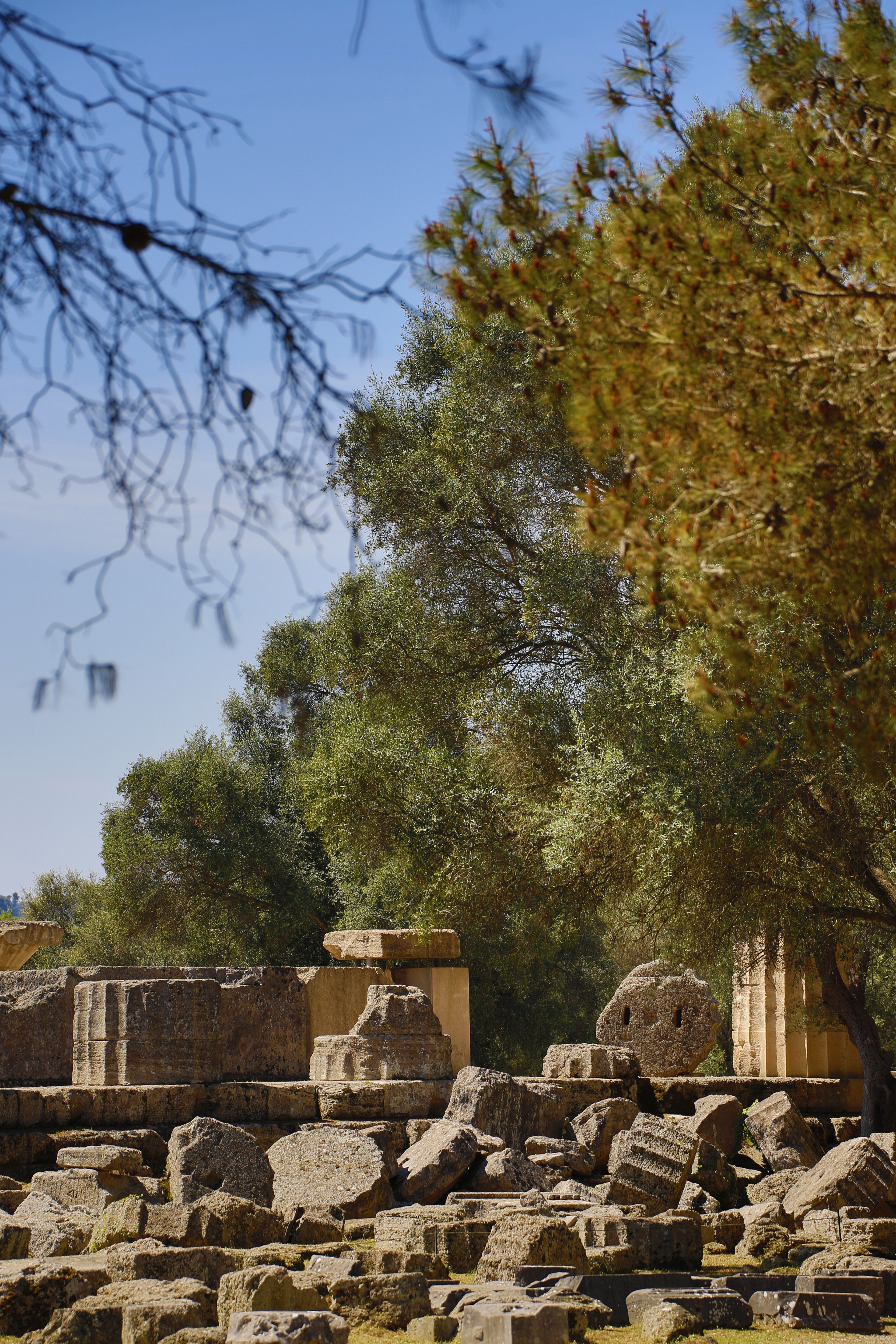 Ancient Temple Ruins Amidst Olive Trees · Free Stock Photo