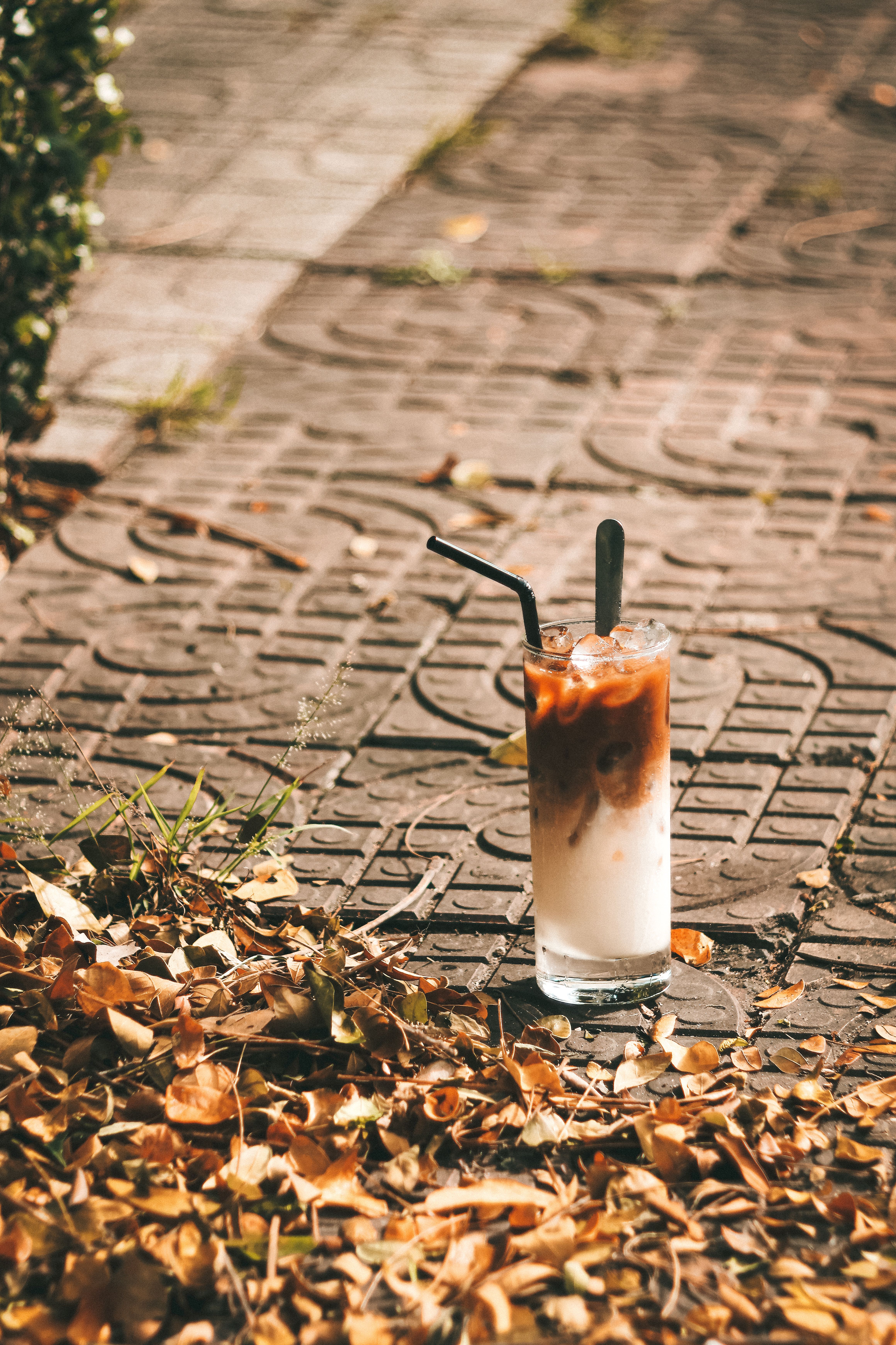 Iced Coffee on Leaf-Strewn Pathway in Autumn · Free Stock Photo