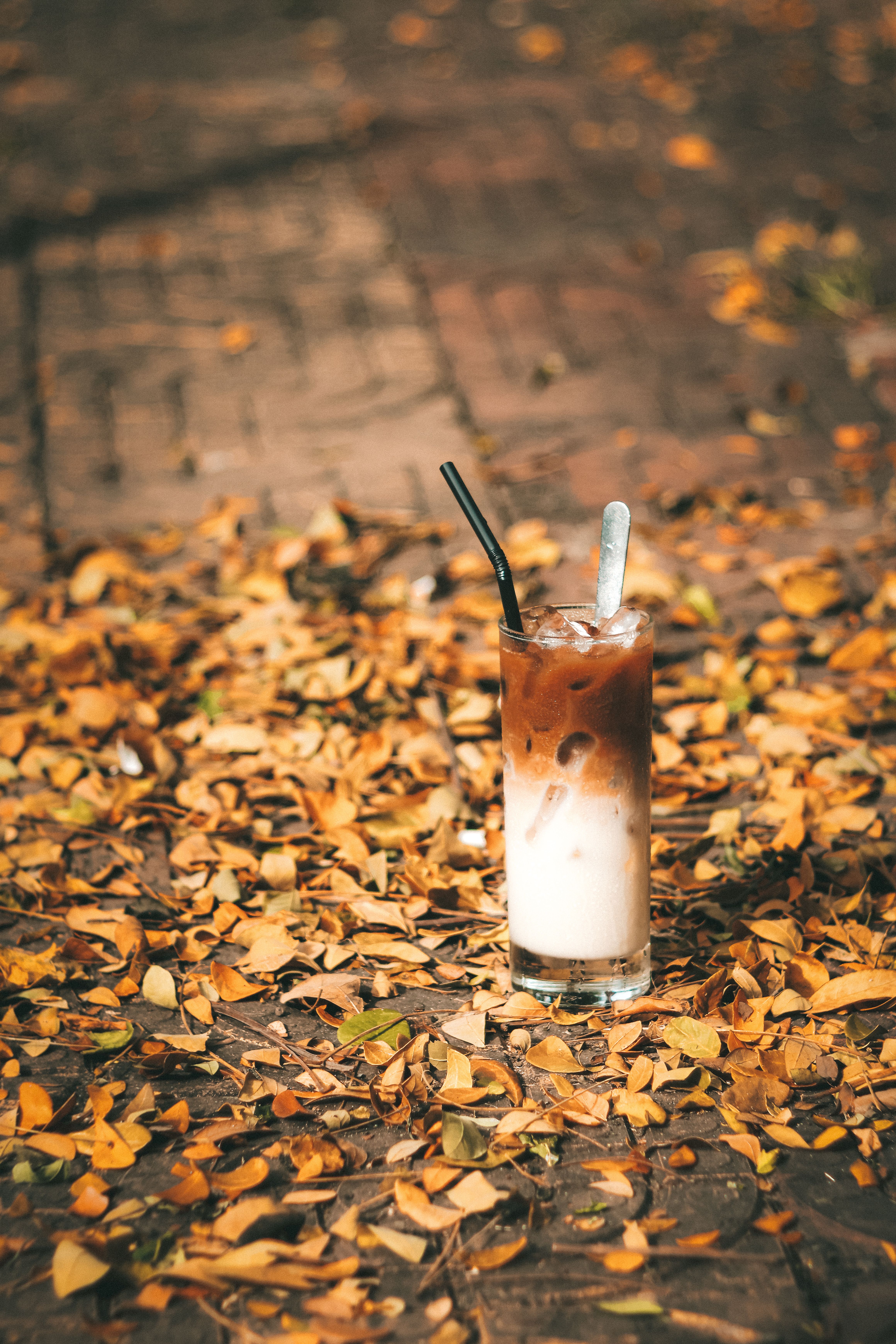 Autumn Iced Coffee on Leafy Pathway · Free Stock Photo
