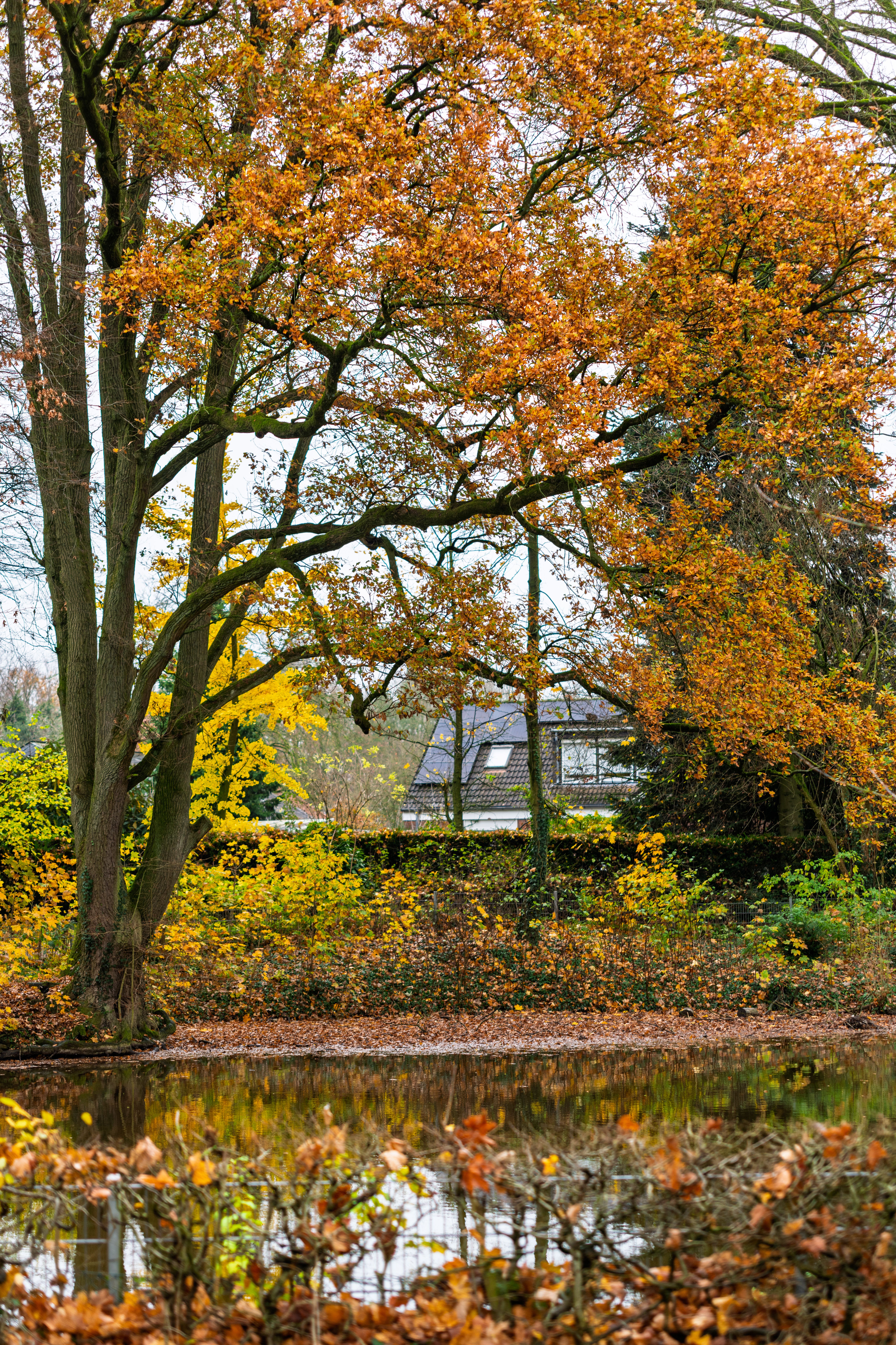 Seasonal Landscape Photos, Download The BEST Free Seasonal Landscape ...