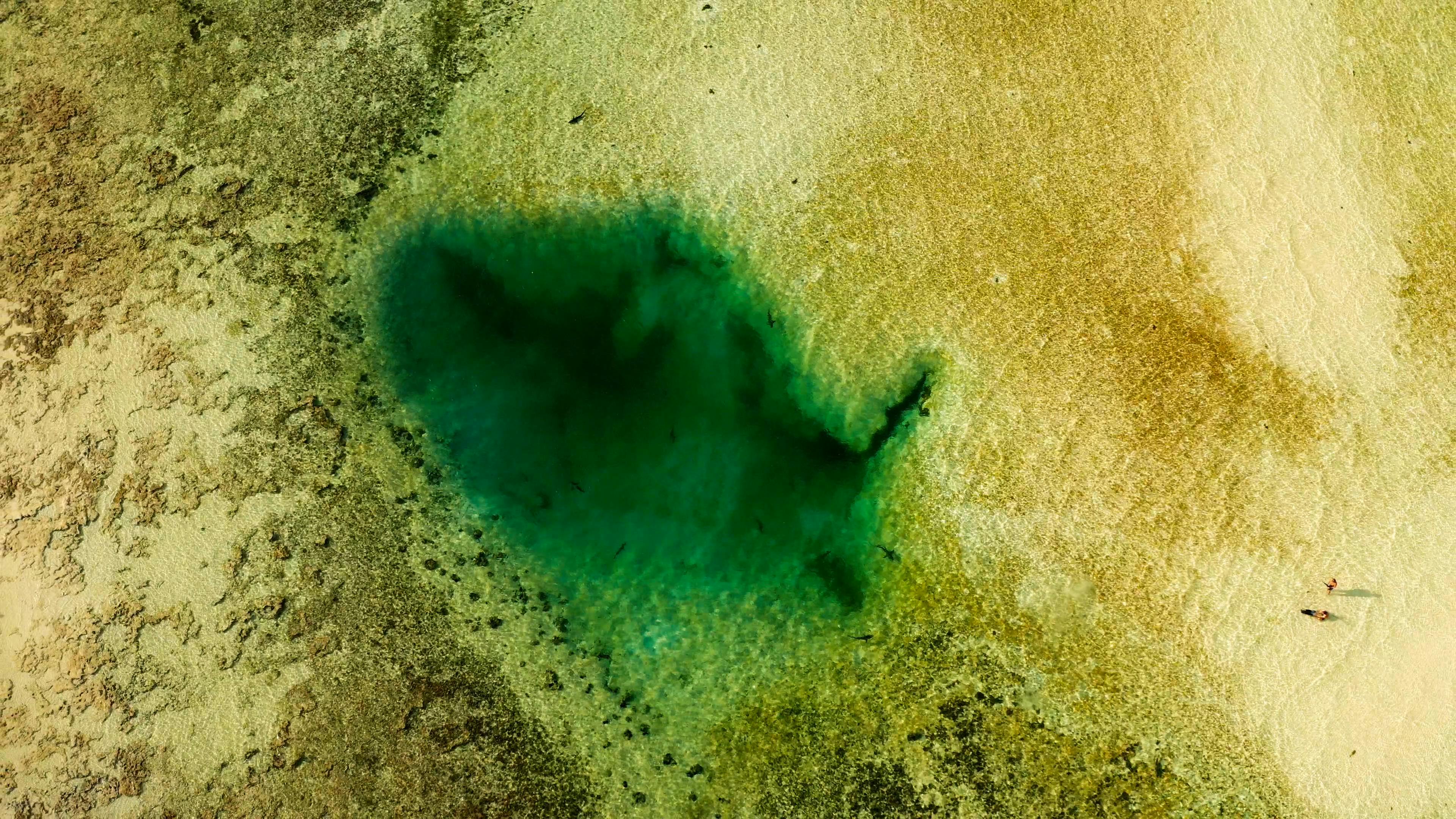 mike sember - Photography