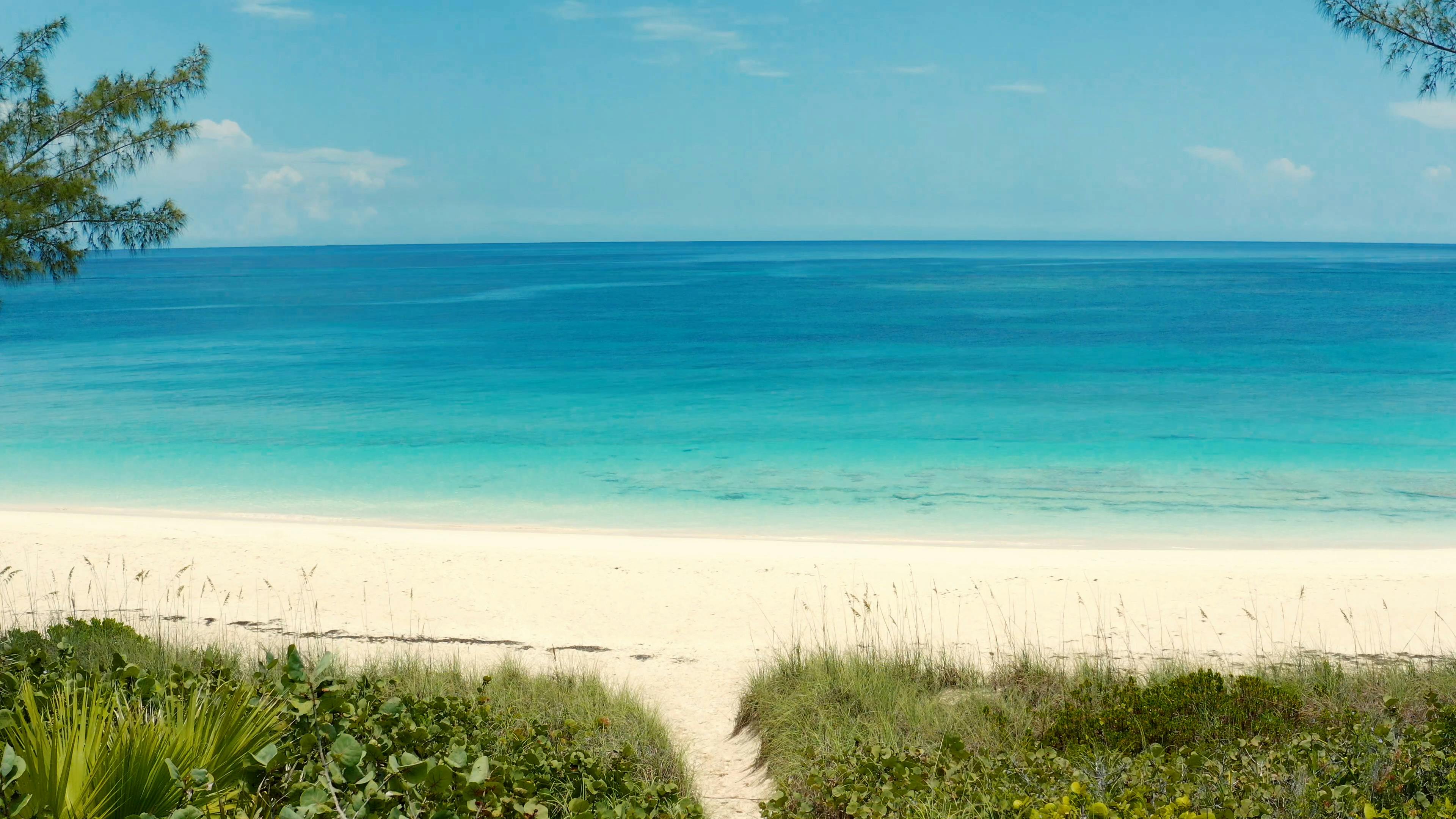 mike sember - Photography