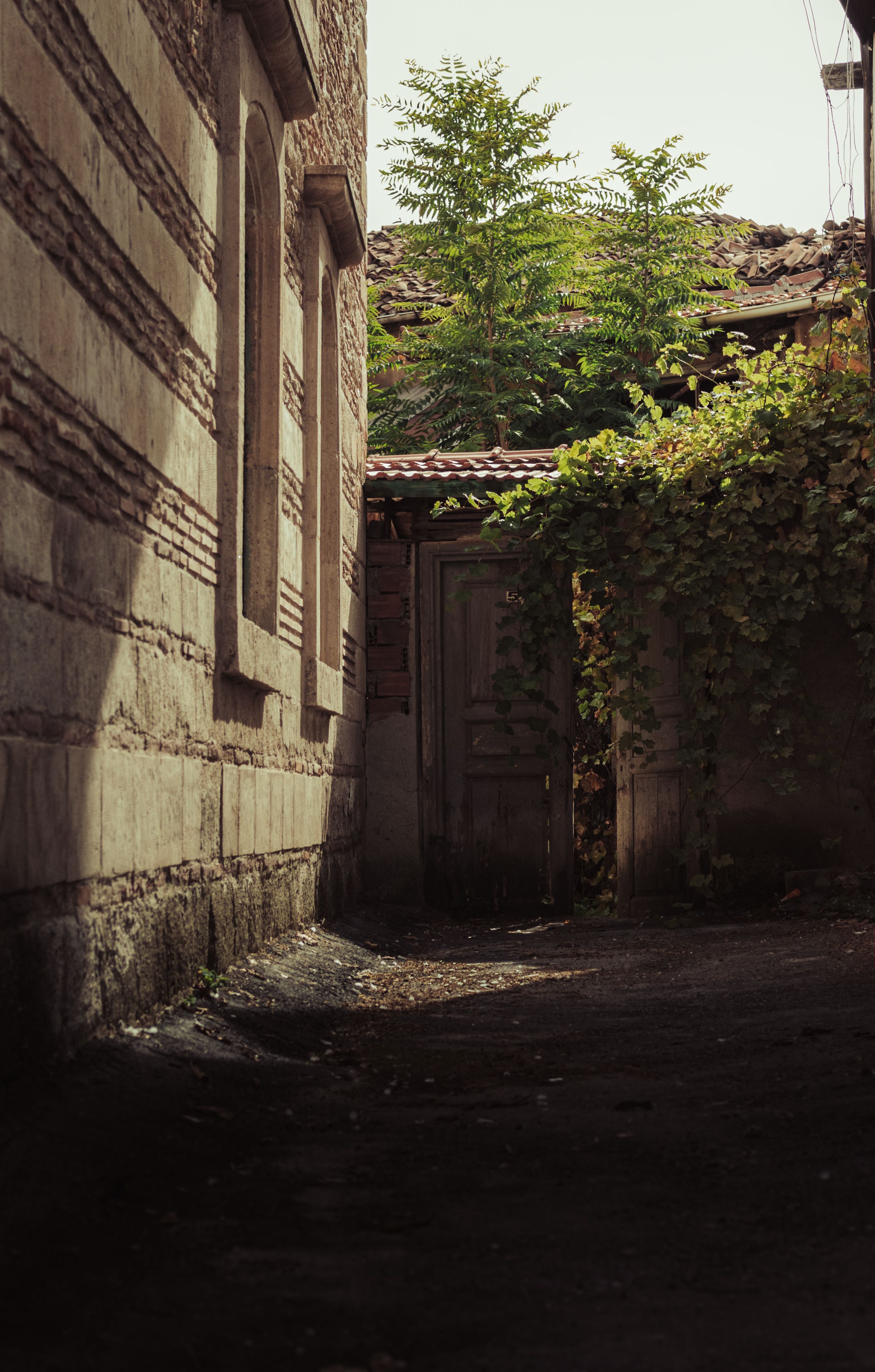 Historic Alleyway with Ivy-Covered Wall · Free Stock Photo