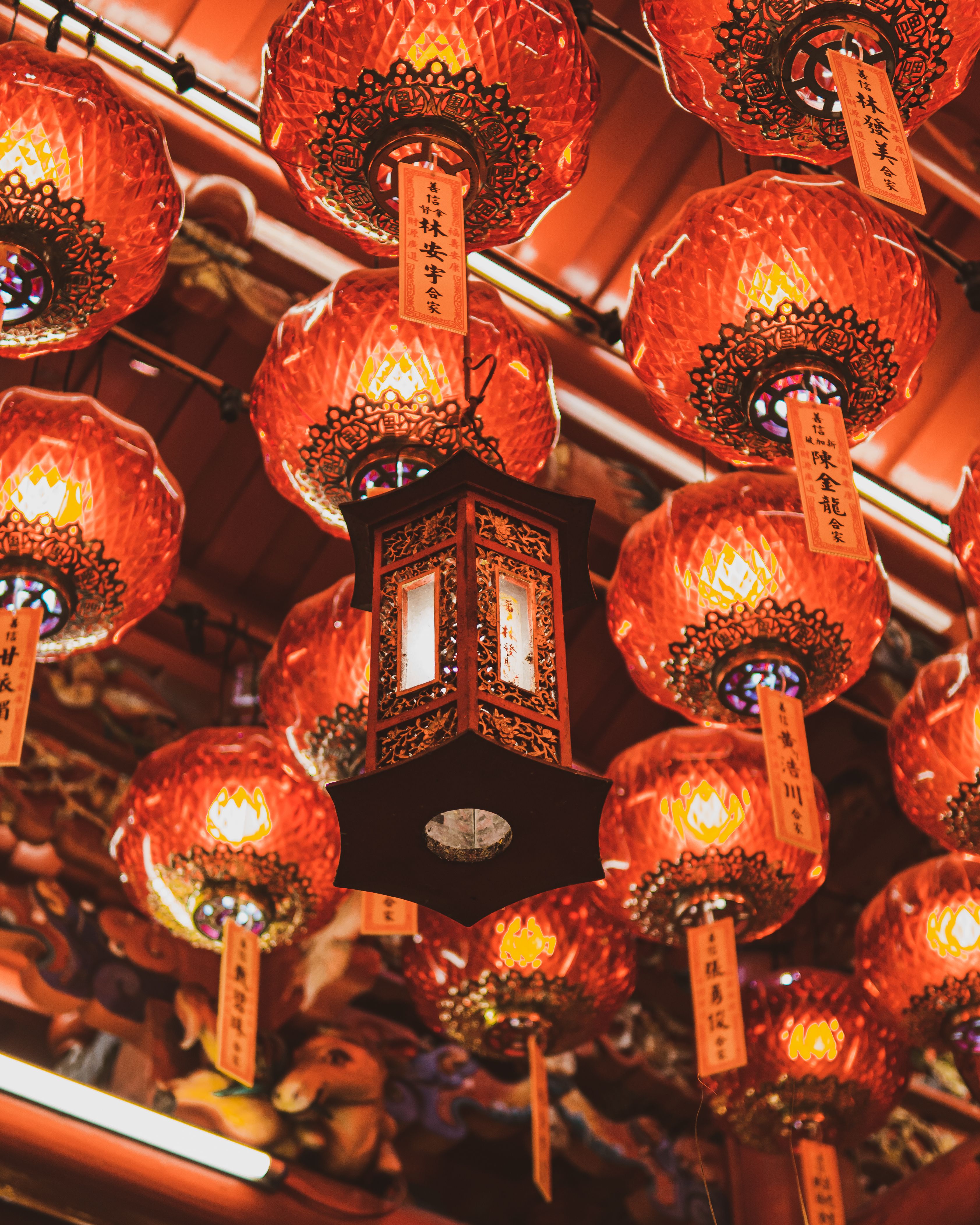 Vibrant Red Lanterns at Asian Lantern Festival · Free Stock Photo