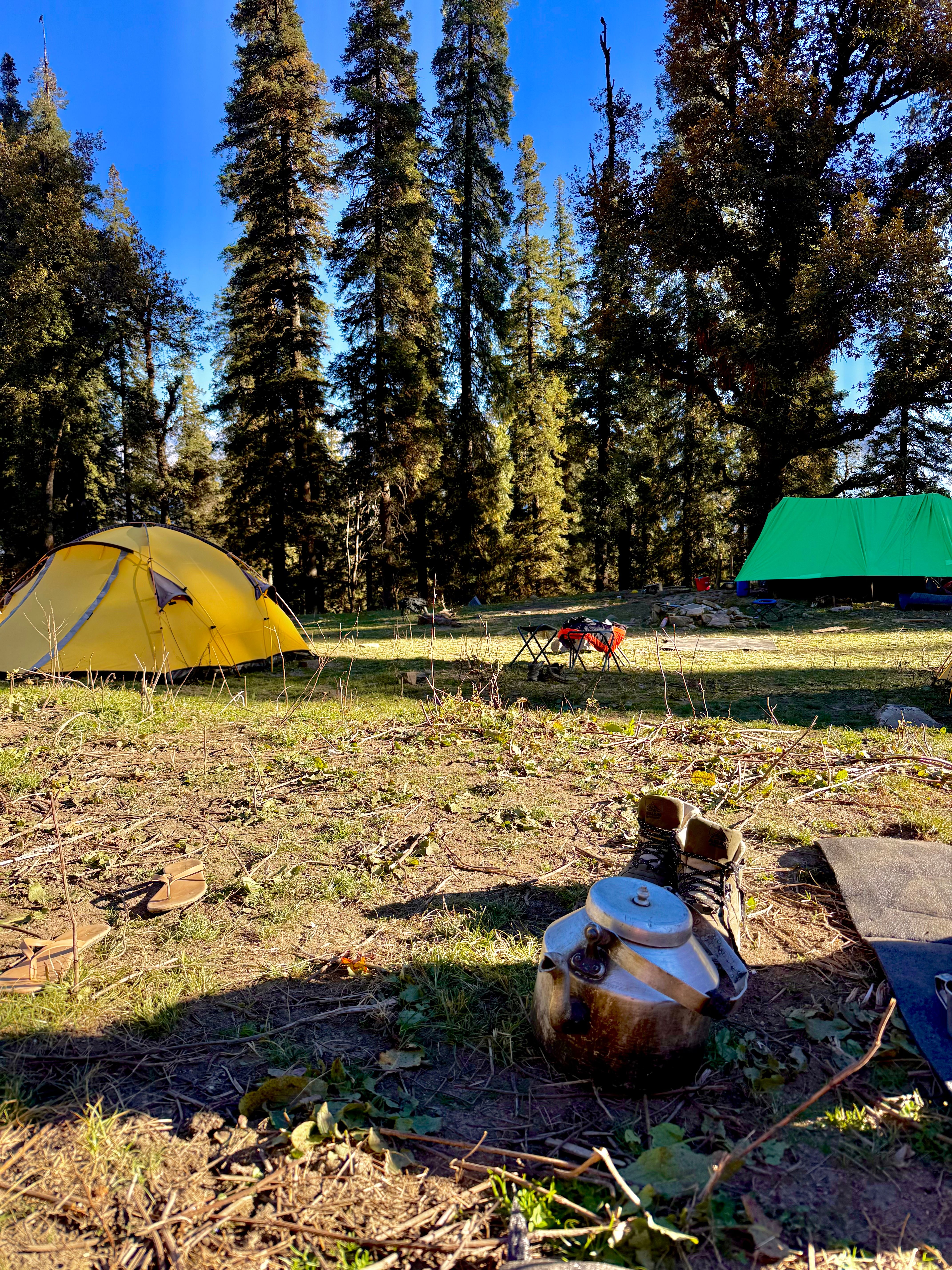 Scenic Forest Camping with Tents and Kettle · Free Stock Photo
